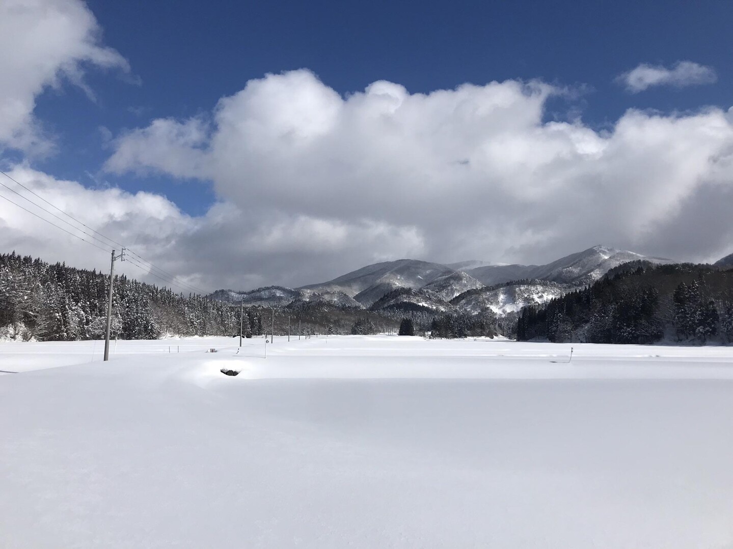 杢蔵山BCスキーで散歩⛷ / indy1899さんの杢蔵山・八森山の活動データ | YAMAP / ヤマップ
