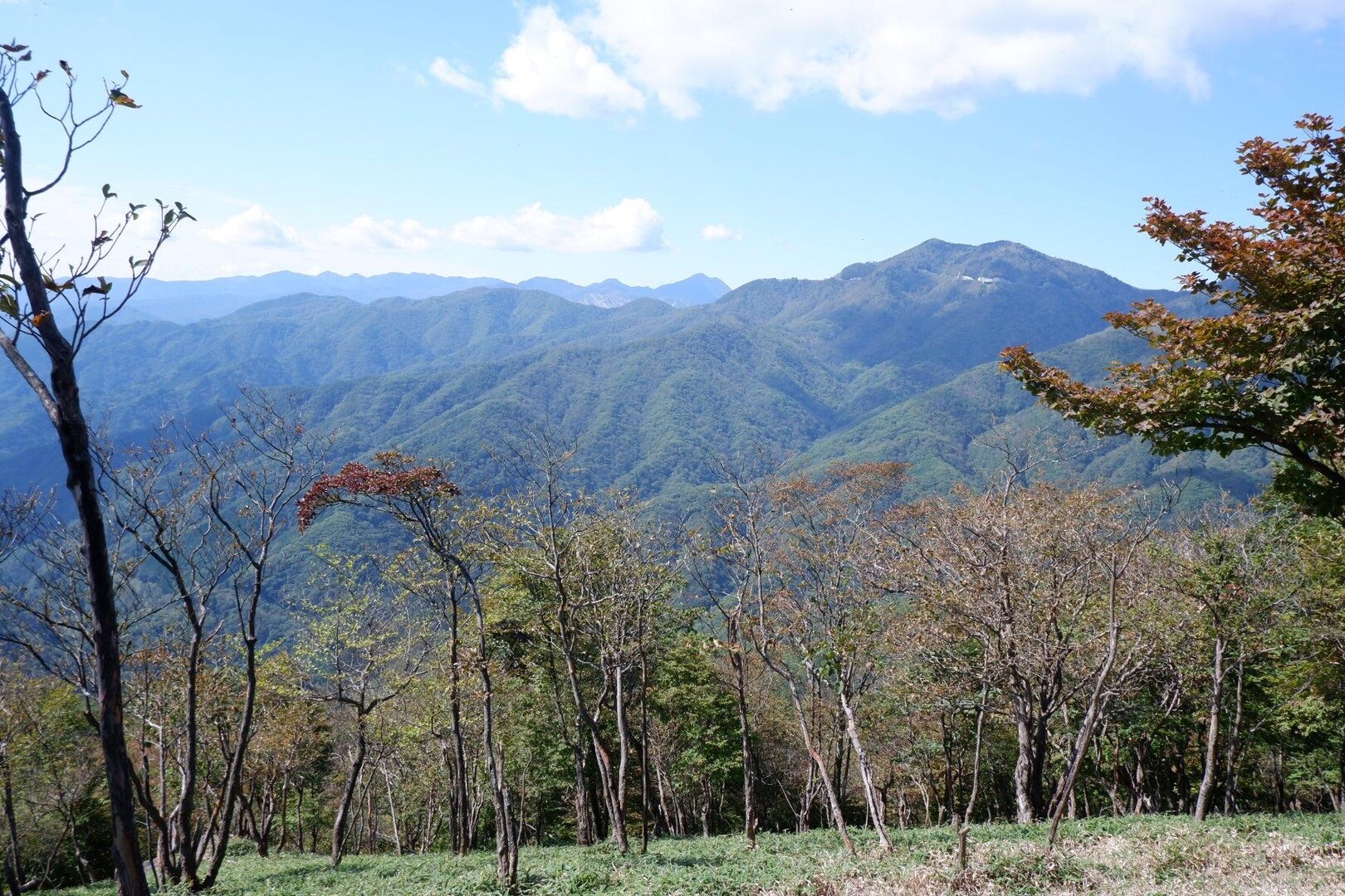 薬師岳(栃百山)・夕日岳(栃百山) / Azumaさんの夕日岳・薬師岳の活動データ | YAMAP / ヤマップ