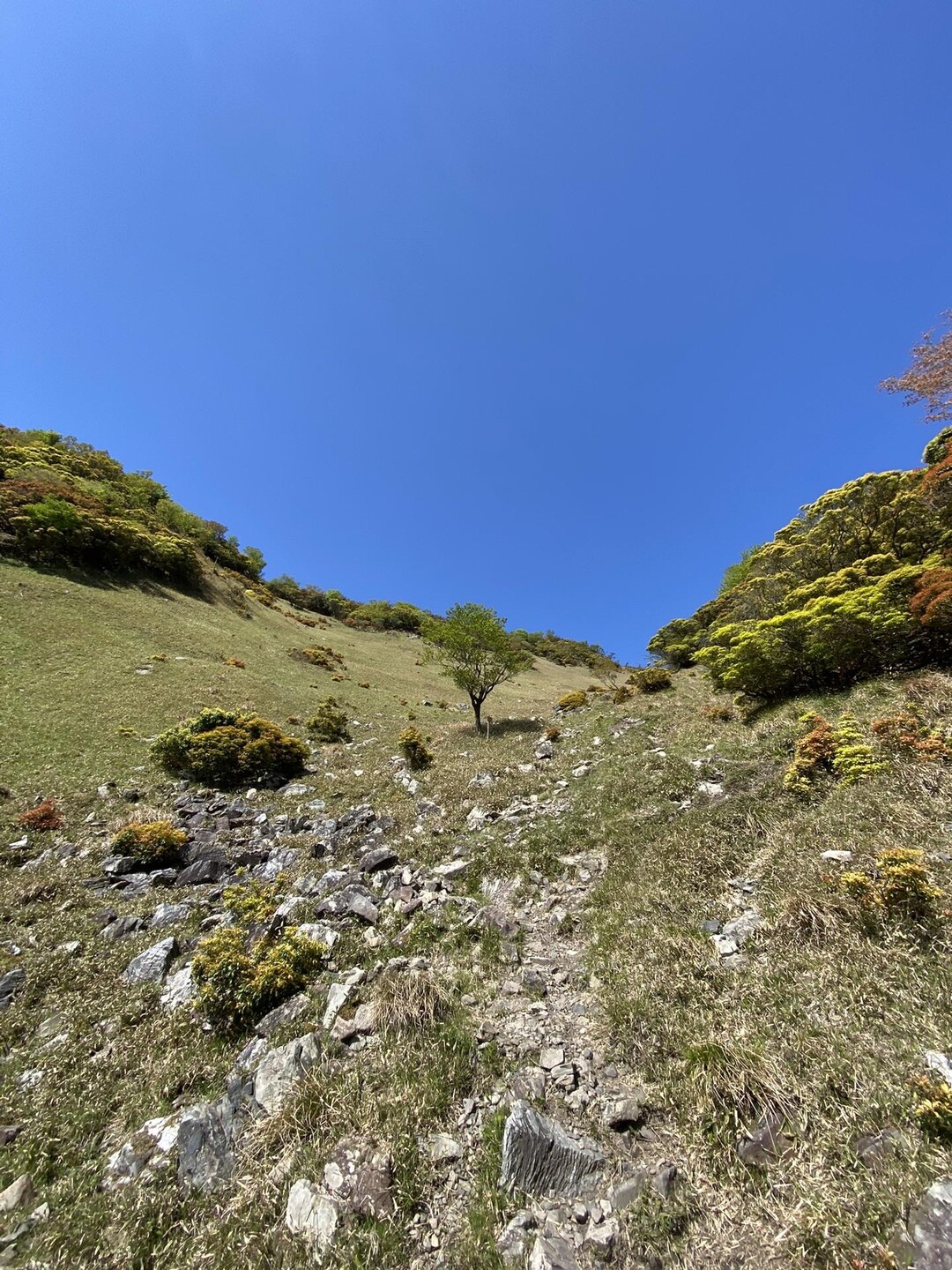 入道ヶ岳 / 遼7kgさんの入道ヶ岳・鎌ヶ岳・仙ヶ岳の活動データ | YAMAP / ヤマップ