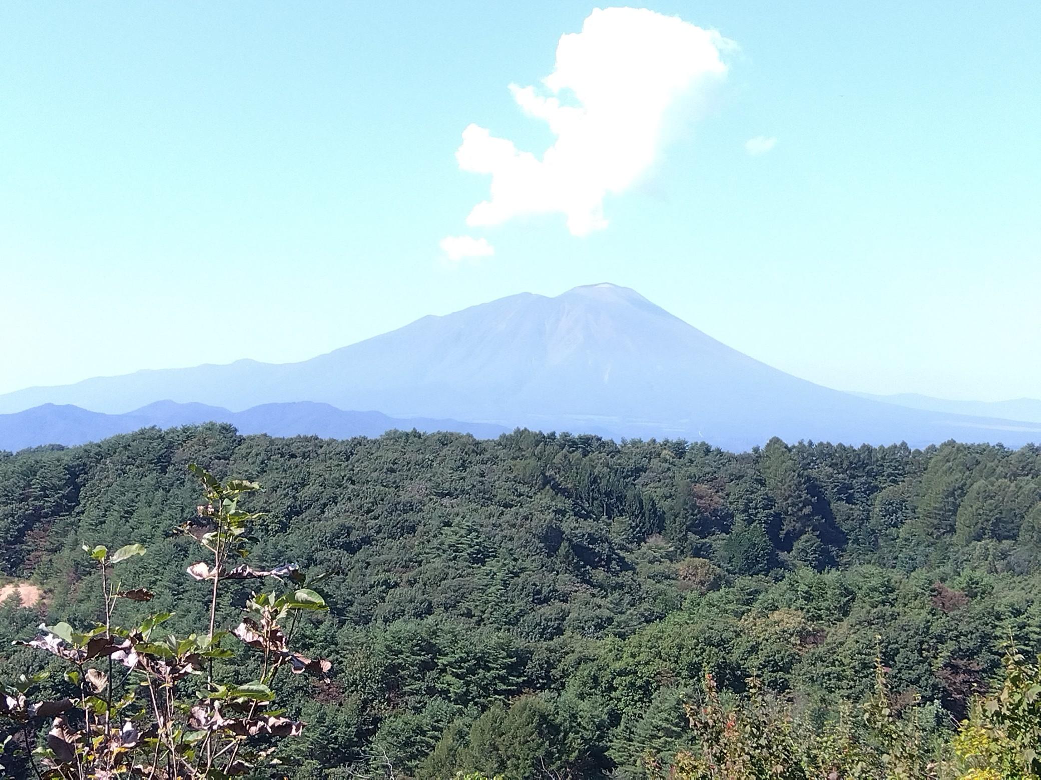 ハツコ森 / TSさんの大森山・黒石山の活動データ | YAMAP / ヤマップ