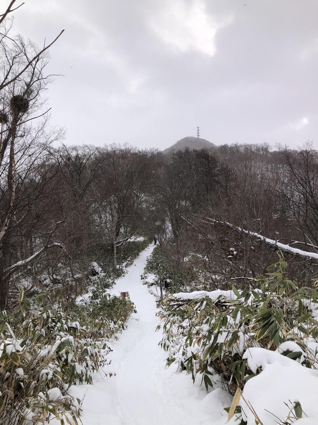 R6初山歩 円山・藻岩山プチ縦走 / 道しるべさんの藻岩山の活動データ | YAMAP / ヤマップ