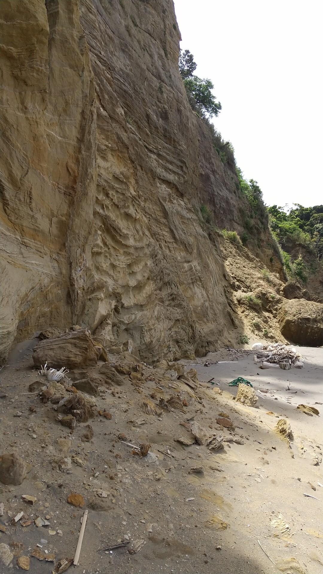 磯根海岸クリーンハイク下見 / OSさんのウォーキングの活動データ | YAMAP / ヤマップ