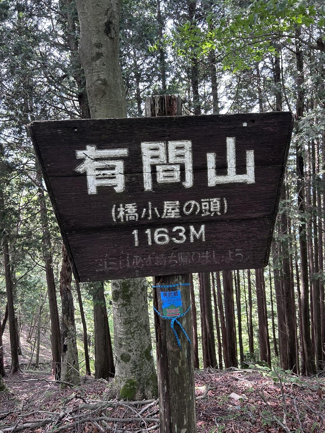 有間山(橋小屋の頭) 6 / MC HIROさんの武甲山・伊豆ヶ岳・小持山の活動データ | YAMAP / ヤマップ