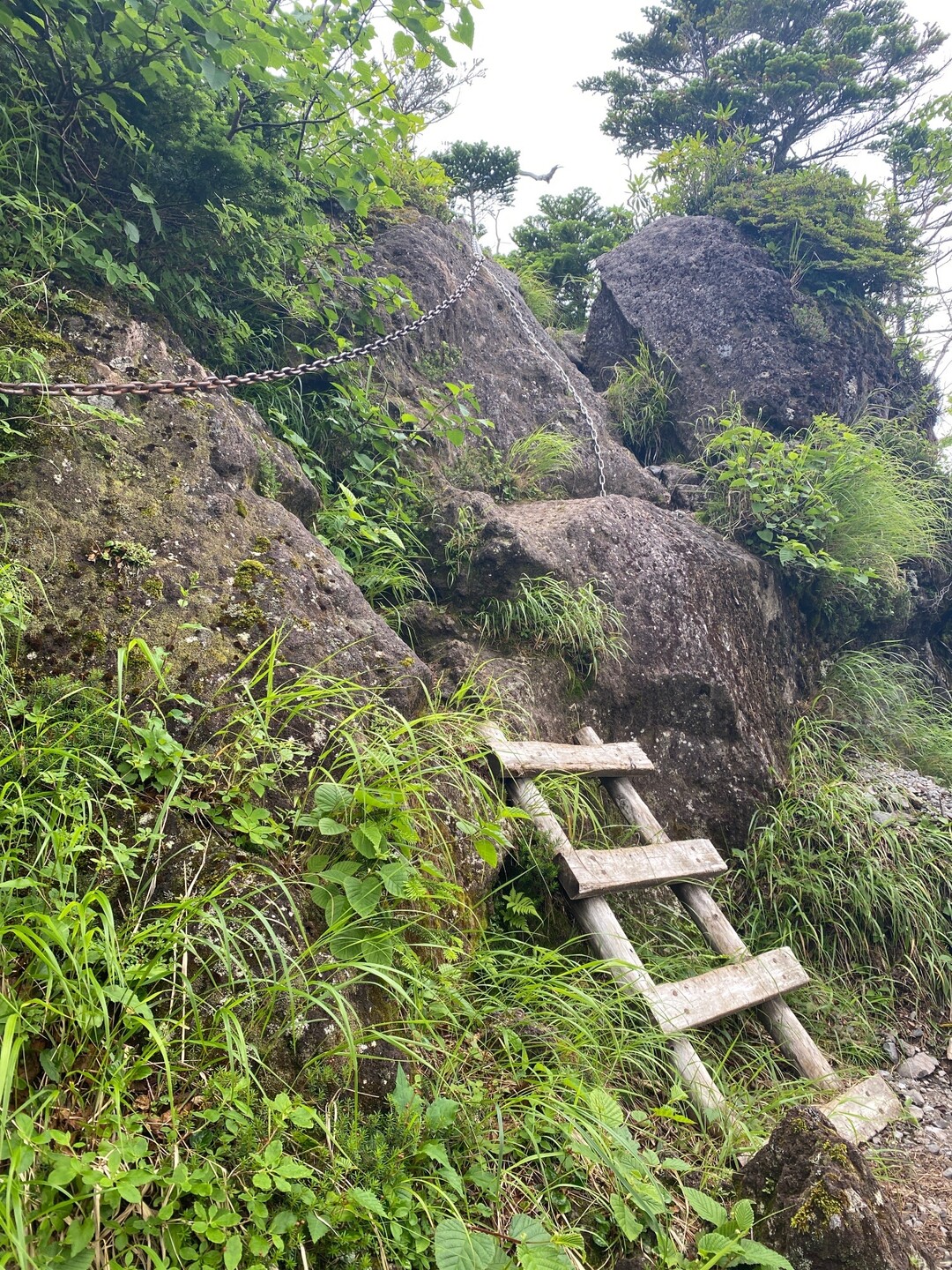 みっちゃんTTさんの投稿したフィールドメモ | YAMAP / ヤマップ