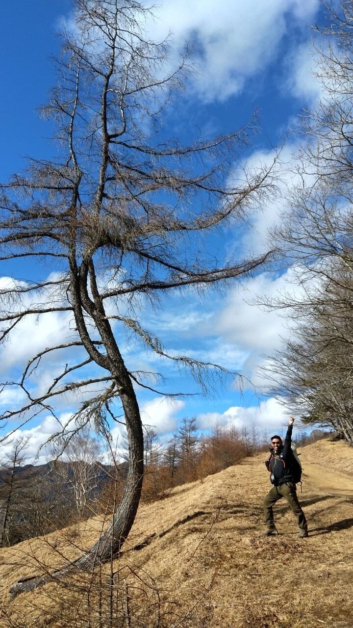今年の目標決めました！ ①山友増やして ... / mitsさんのモーメント | YAMAP / ヤマップ