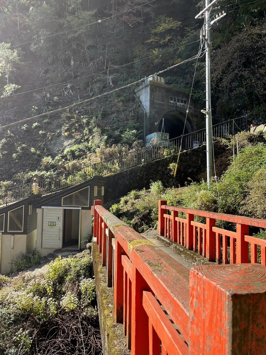 harryさんの投稿したフィールドメモ | YAMAP / ヤマップ