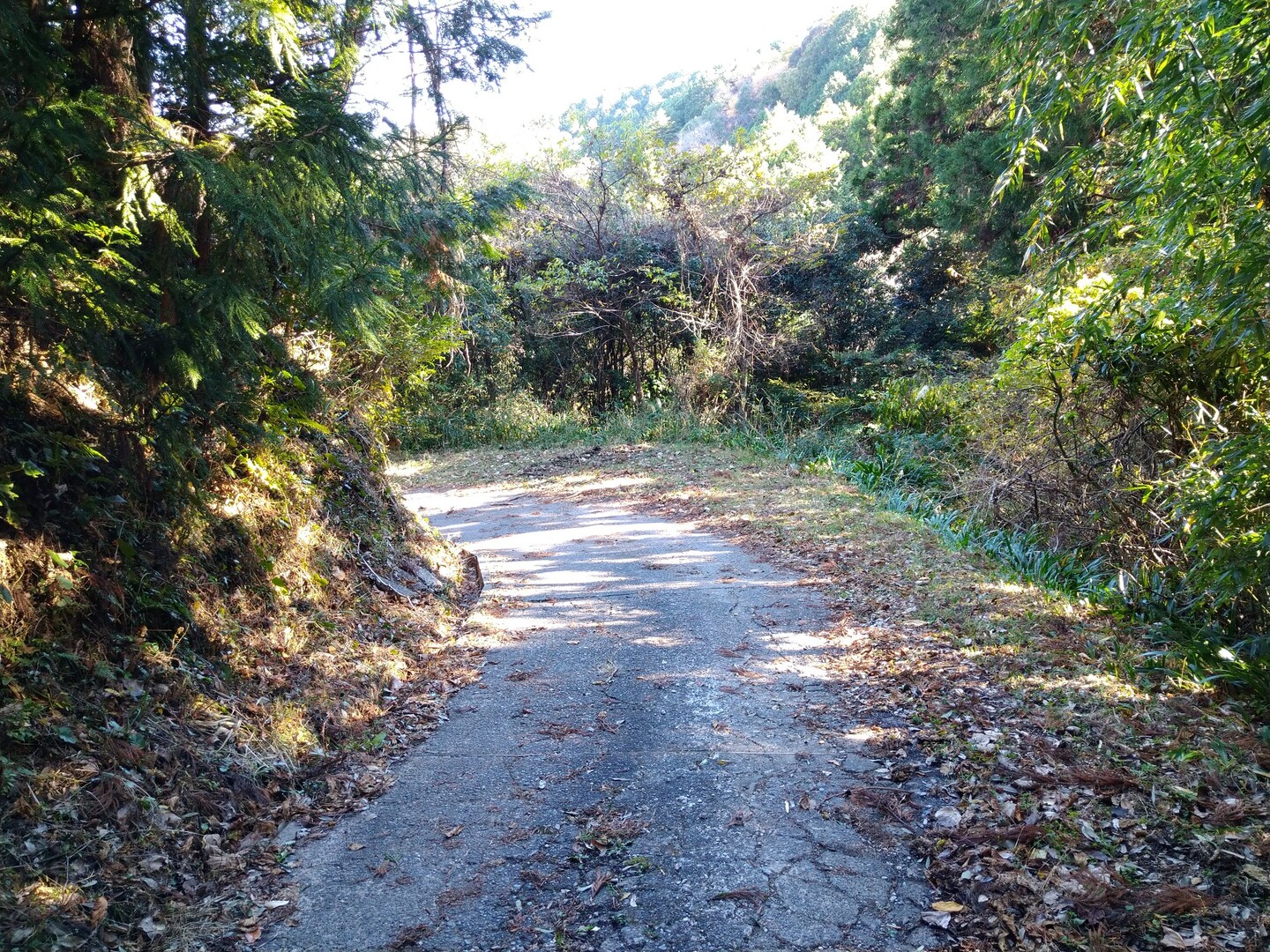 Mo-riさんの投稿したフィールドメモ | YAMAP / ヤマップ