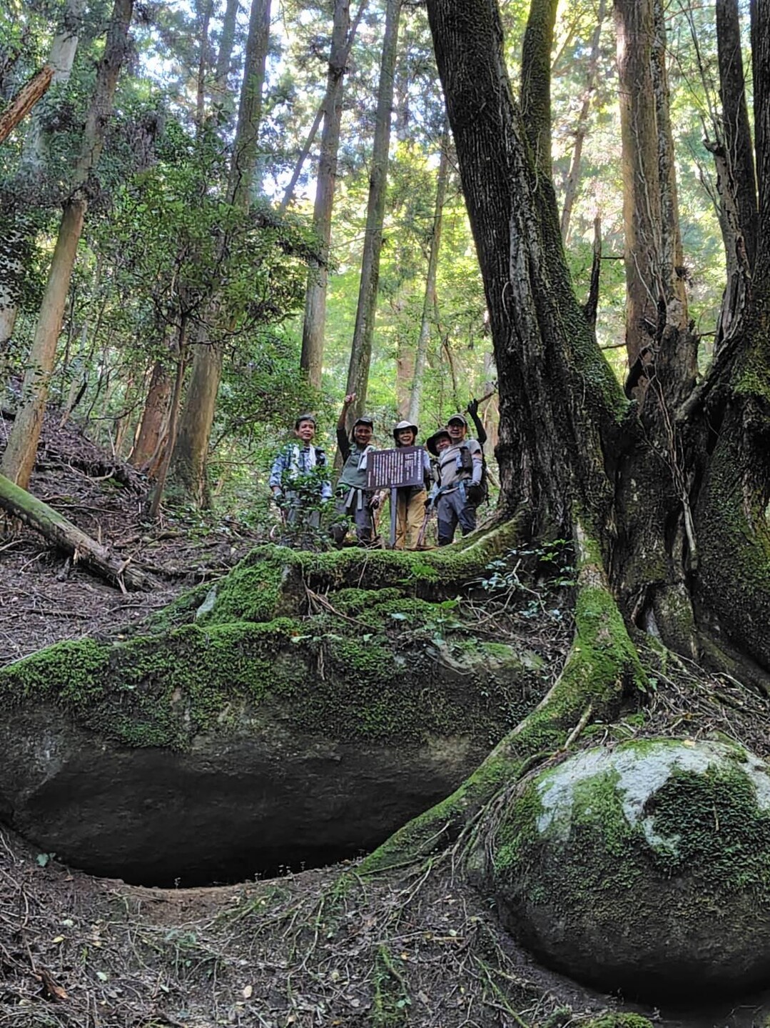 猿投山 629 / hitoさんの猿投山・物見山の活動日記 | YAMAP / ヤマップ