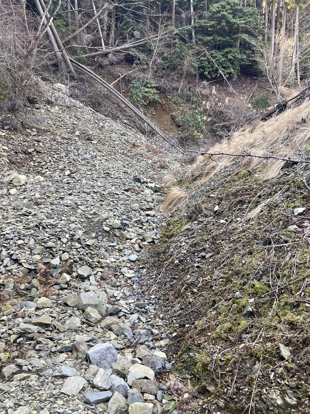 潰滅した荒廃の亡びの道を往く〜仰烏帽子山 椎葉谷登山口から800m地点で断念す / 仰烏帽子山の写真73枚目 | YAMAP / ヤマップ