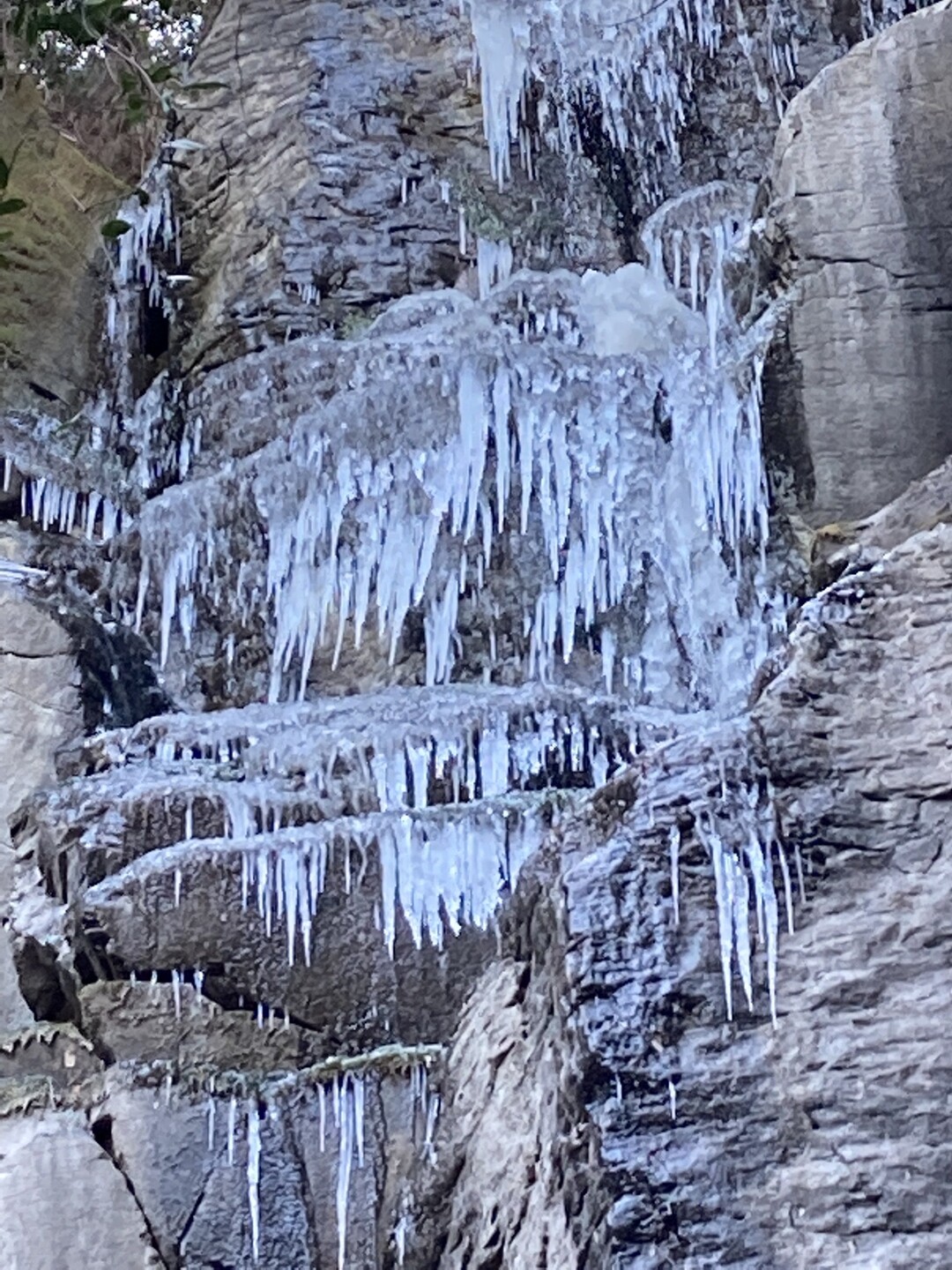 不動滝全面氷瀑ならず2022-02-17 / tairaさんの四国遍路その19の活動データ | YAMAP / ヤマップ