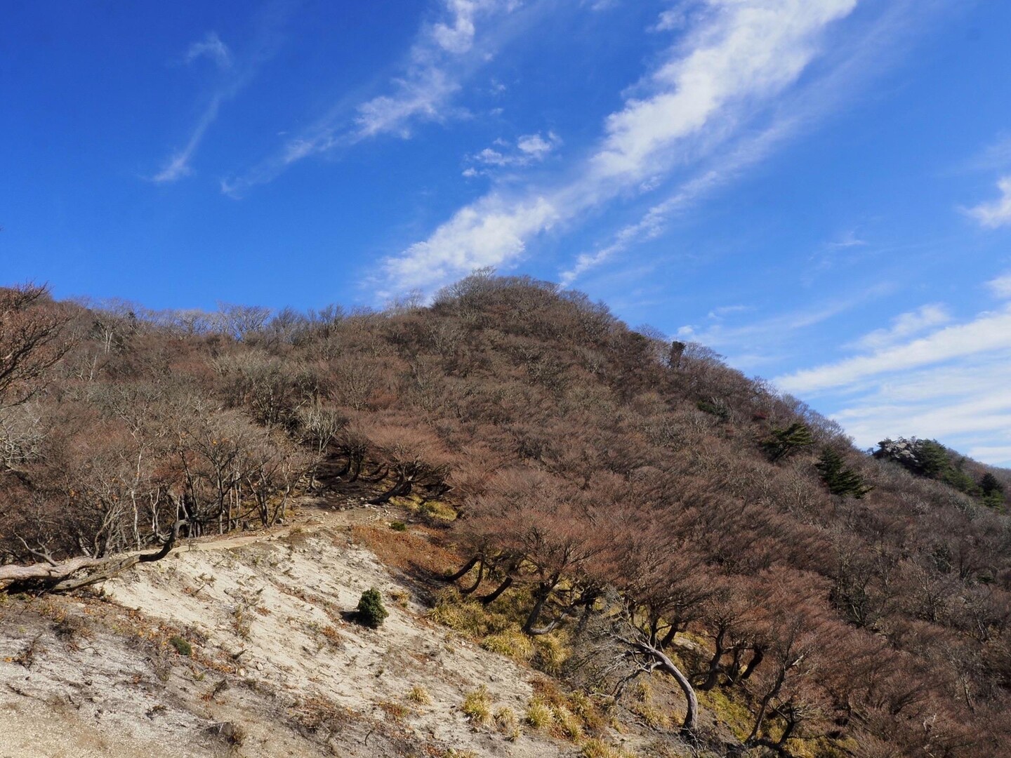 釈迦ヶ岳・猫岳・羽鳥峰 / konkonさんの釈迦ヶ岳の活動データ | YAMAP / ヤマップ