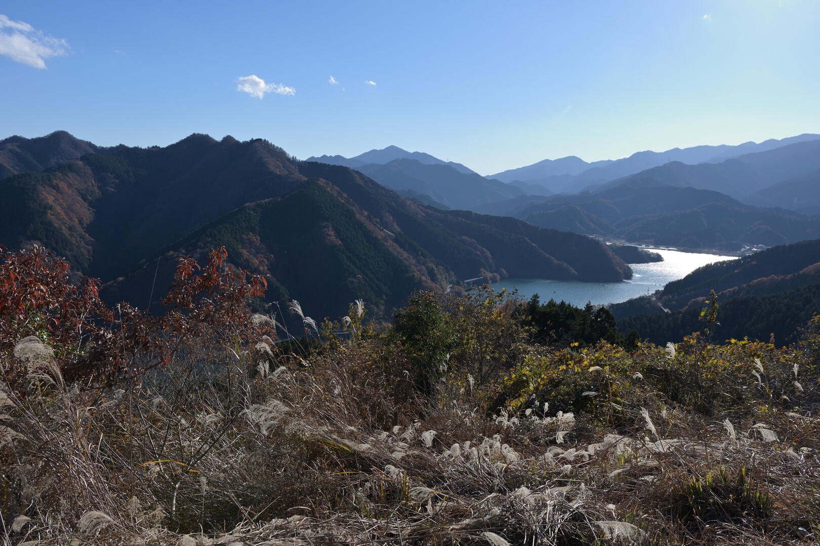 6TTT(高尾山口駅から宮ヶ瀬湖) / まつさんの高尾山・陣馬山・景信山の活動データ | YAMAP / ヤマップ