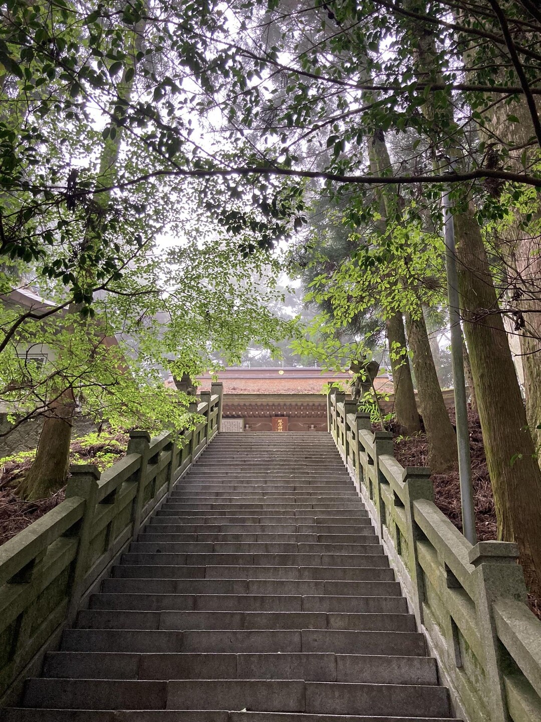 早朝 本宮山 / siriaさんの本宮山・大日山・風頭山の活動データ | YAMAP / ヤマップ