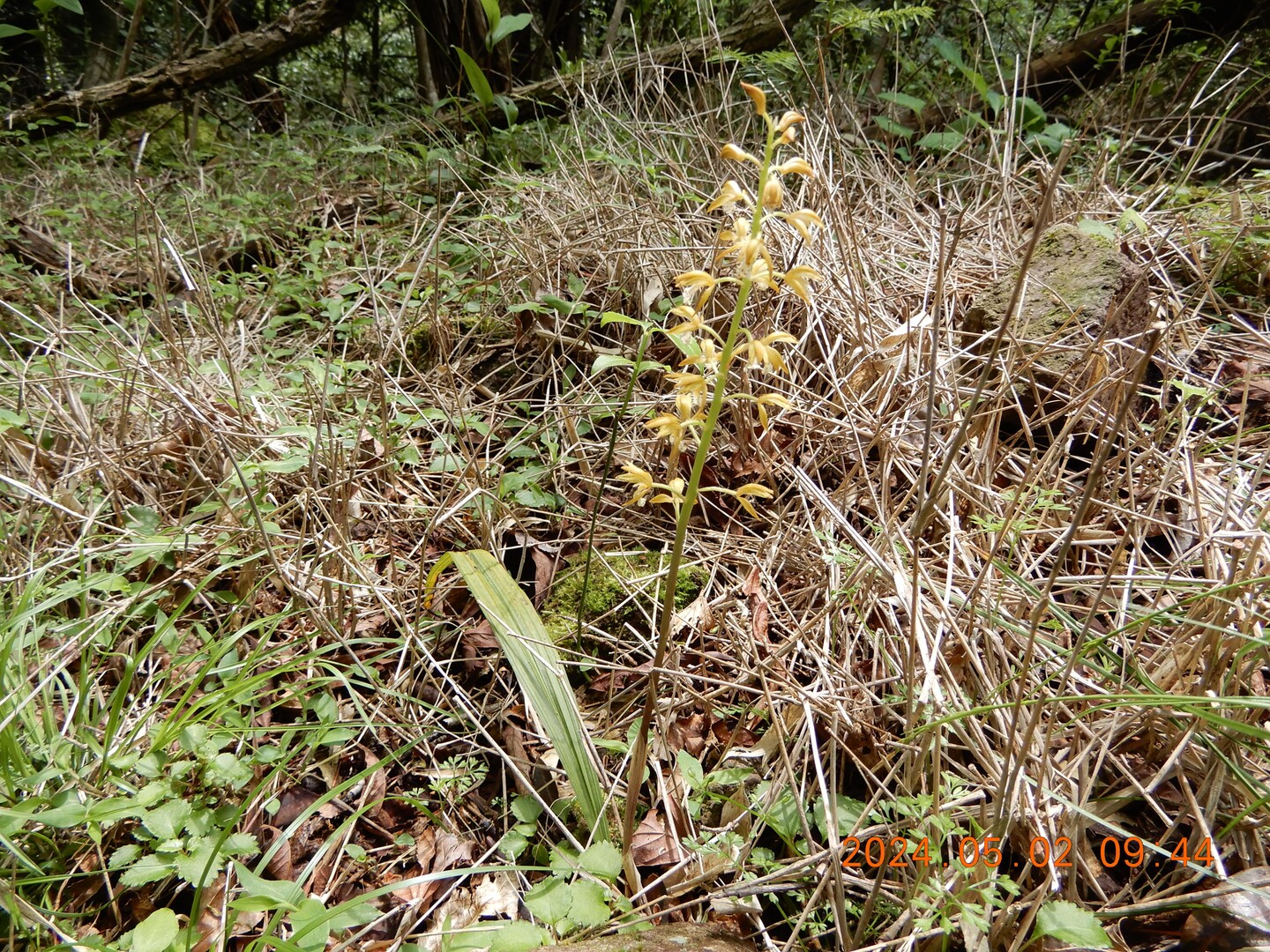 普賢岳（雲仙岳） / kazzさんの雲仙岳・普賢岳・絹笠山の活動データ | YAMAP / ヤマップ
