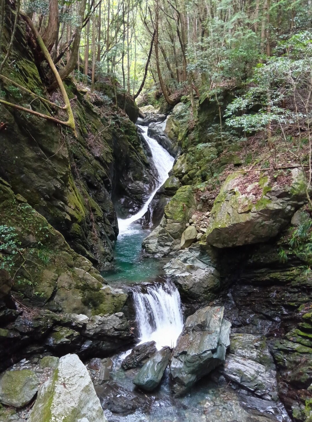 白倉渓 / sky highさんの白倉山の活動データ | YAMAP / ヤマップ