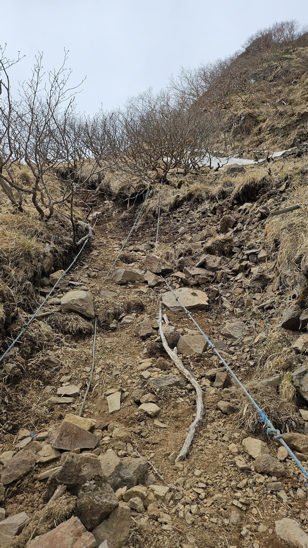 韓国 JIN (Youtuber)さんの投稿したフィールドメモ | YAMAP / ヤマップ