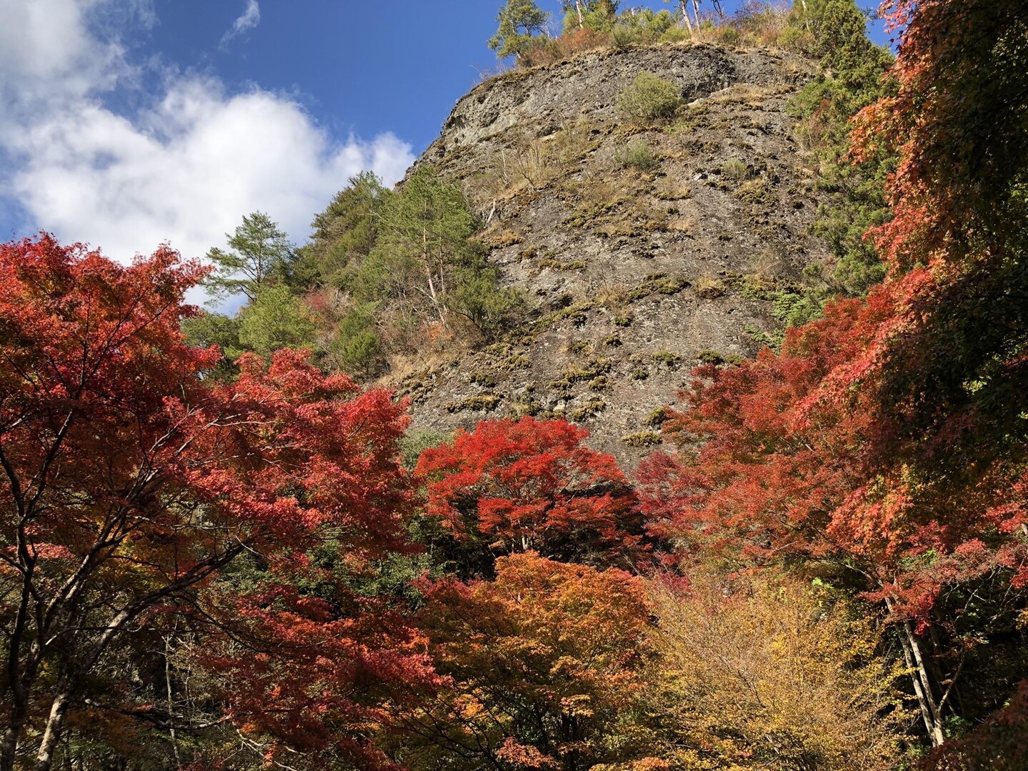 岩屋山（中津渓谷紅葉偵察） / CHAさんの四国遍路その14の活動データ | YAMAP / ヤマップ