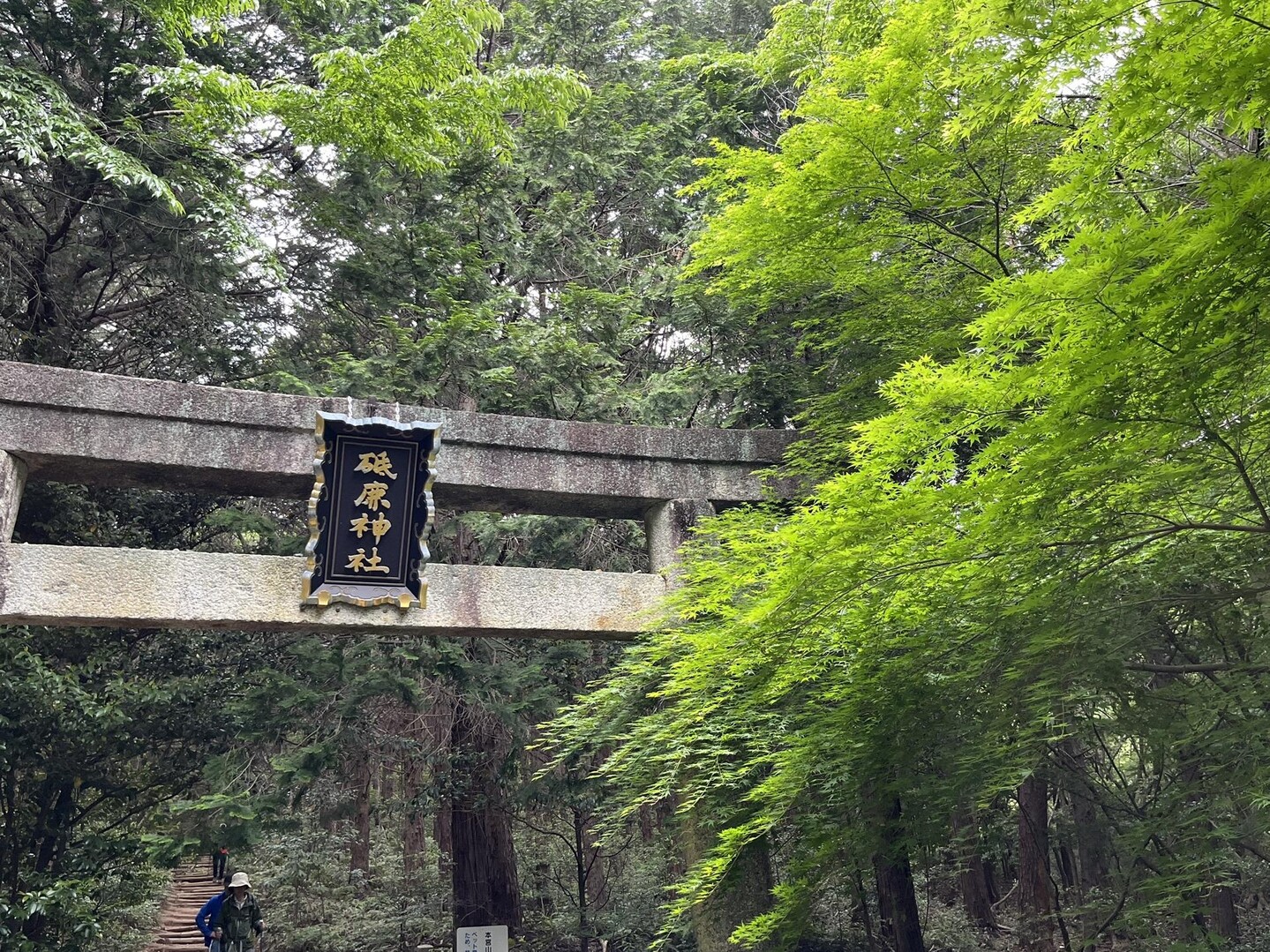 本宮山トレ④ / Kumagoro さんの本宮山・大日山・風頭山の活動データ | YAMAP / ヤマップ