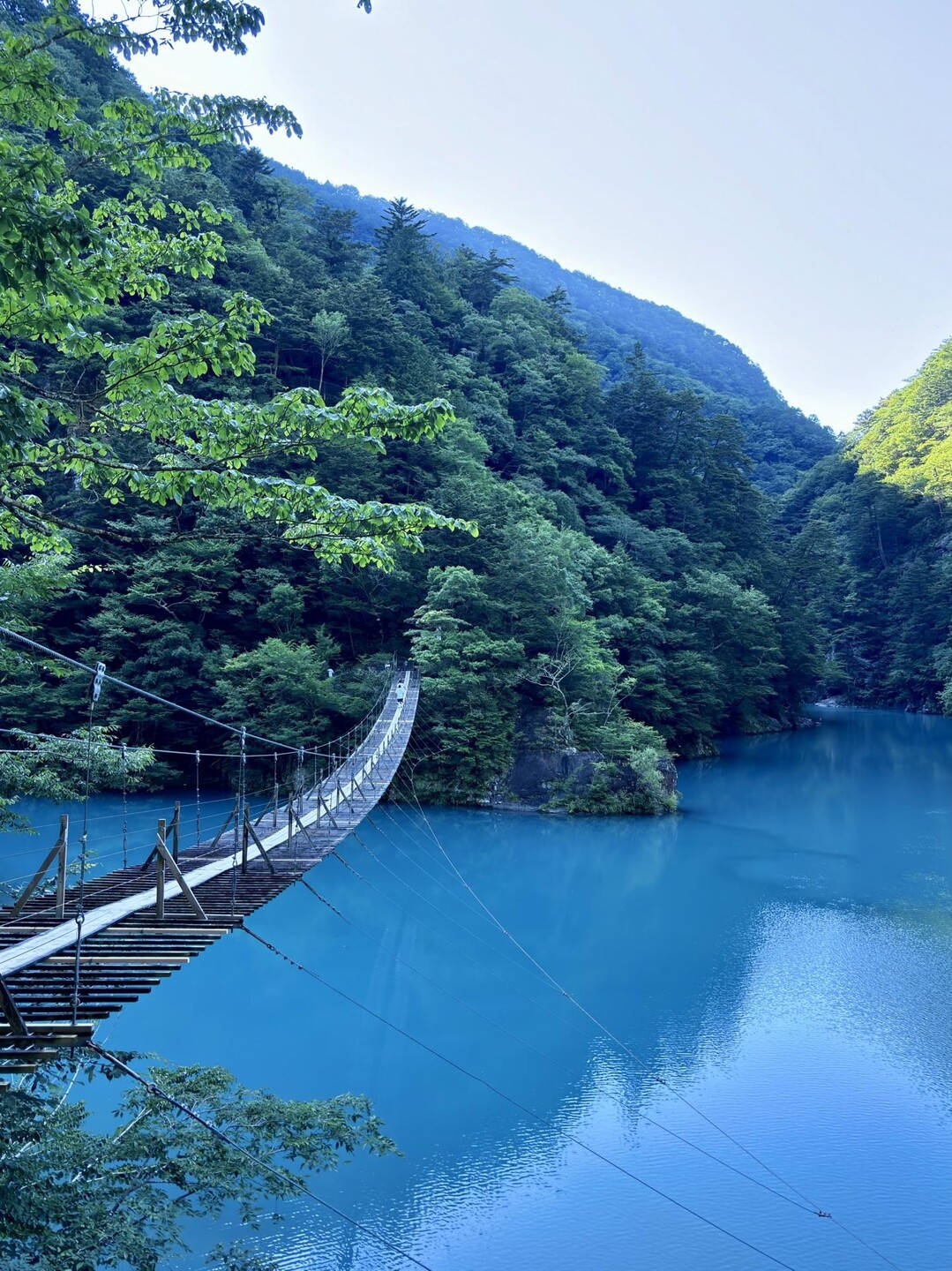 『夢のつり橋』へGo ️ / ヒロさんの板取山・沢口山の活動データ | YAMAP / ヤマップ
