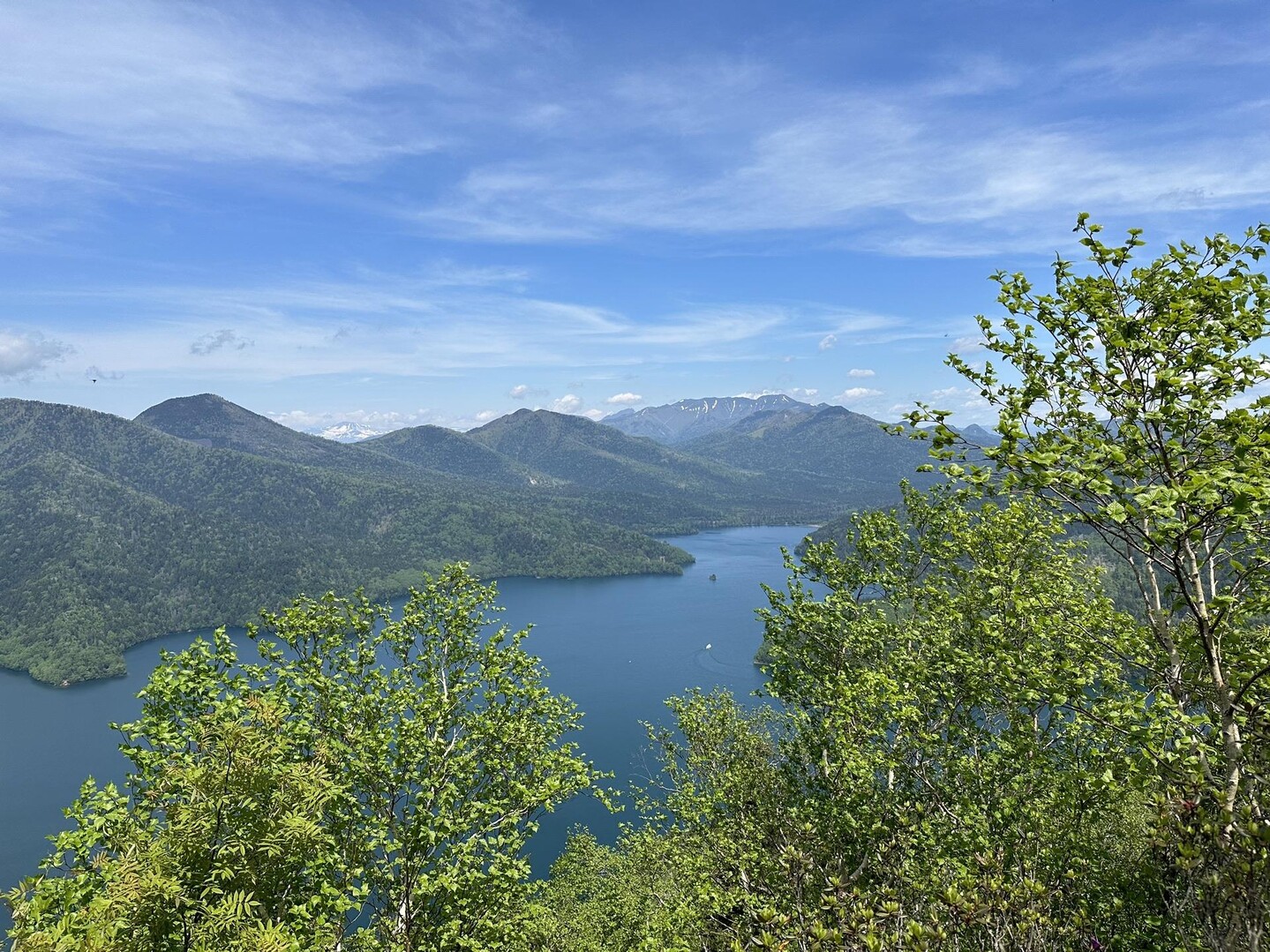 💙白雲山・岩石山・天望山💙 / waka🎈🧸さんの登山の活動データ | YAMAP / ヤマップ