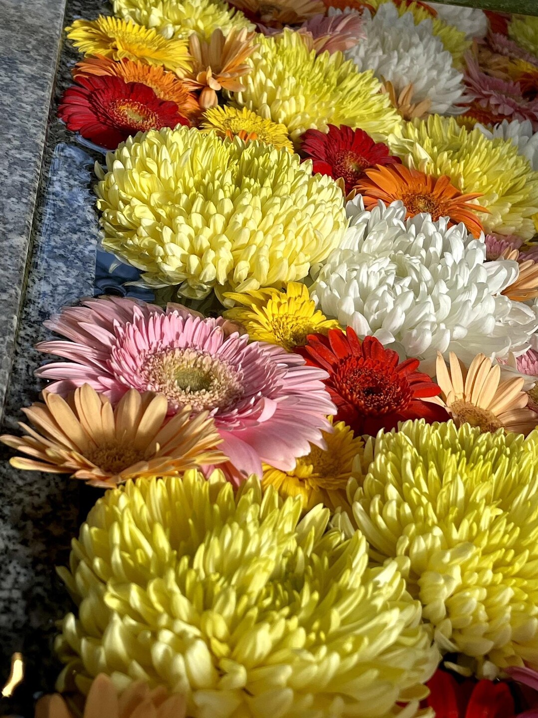 アート?! Part2 / 海月さんのモーメント | YAMAP / ヤマップ