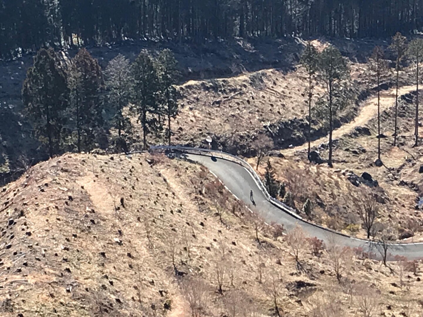 坊主山 / midoriさんの古賀志山・赤岩山・鞍掛山・男抱山・半蔵山の活動データ | YAMAP / ヤマップ