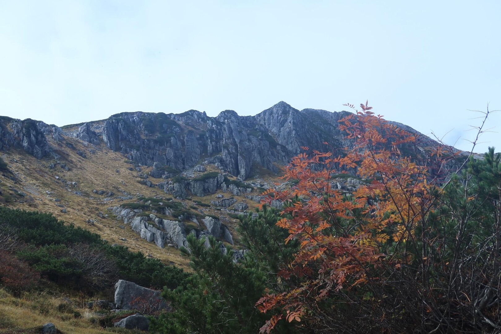 登山史上最大のピンチ ️苦い思い雲の平 / eigoさんの水晶岳・薬師岳・黒部五郎岳の活動データ | YAMAP / ヤマップ