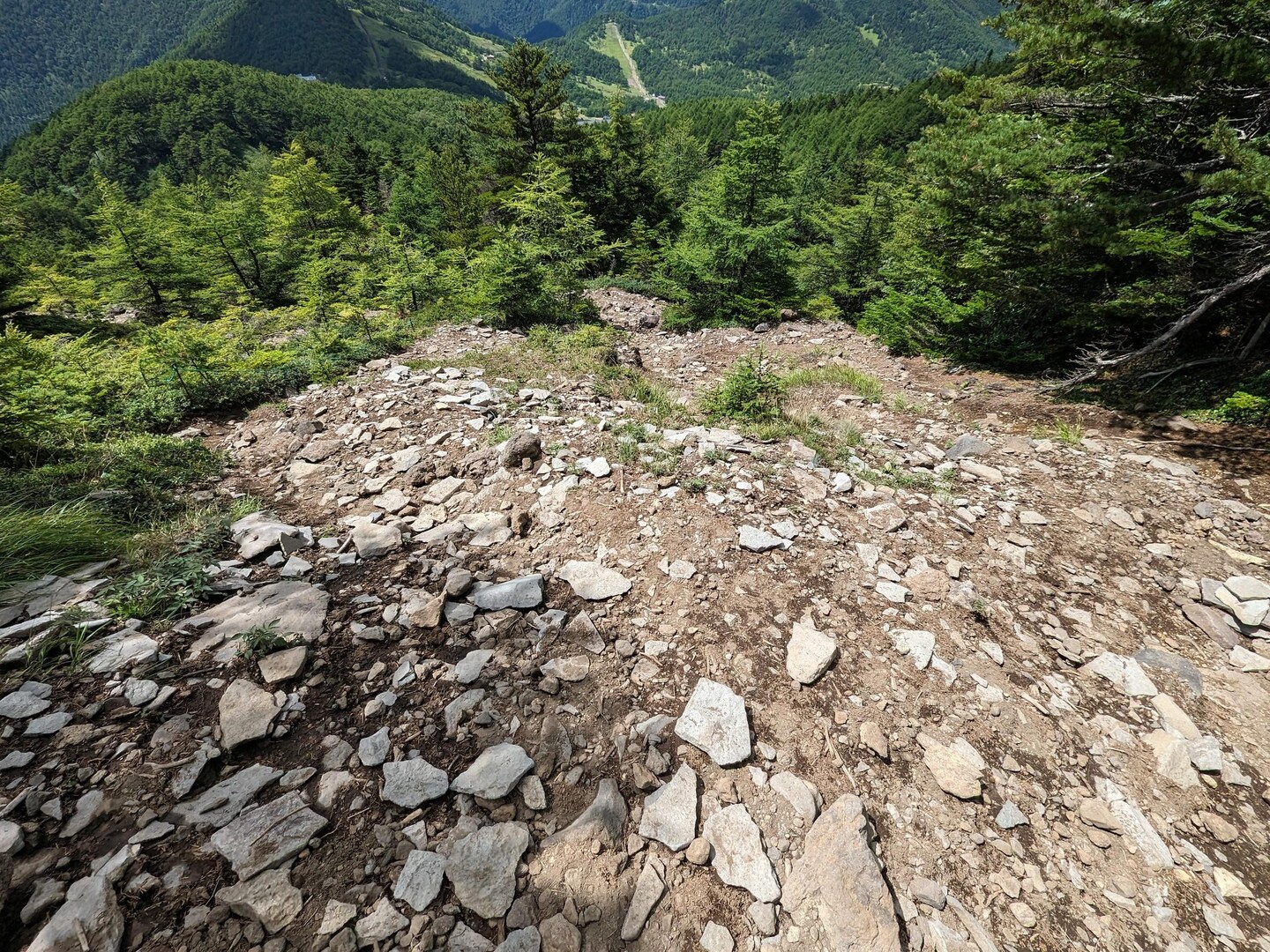 Okamonさんの投稿したフィールドメモ | YAMAP / ヤマップ