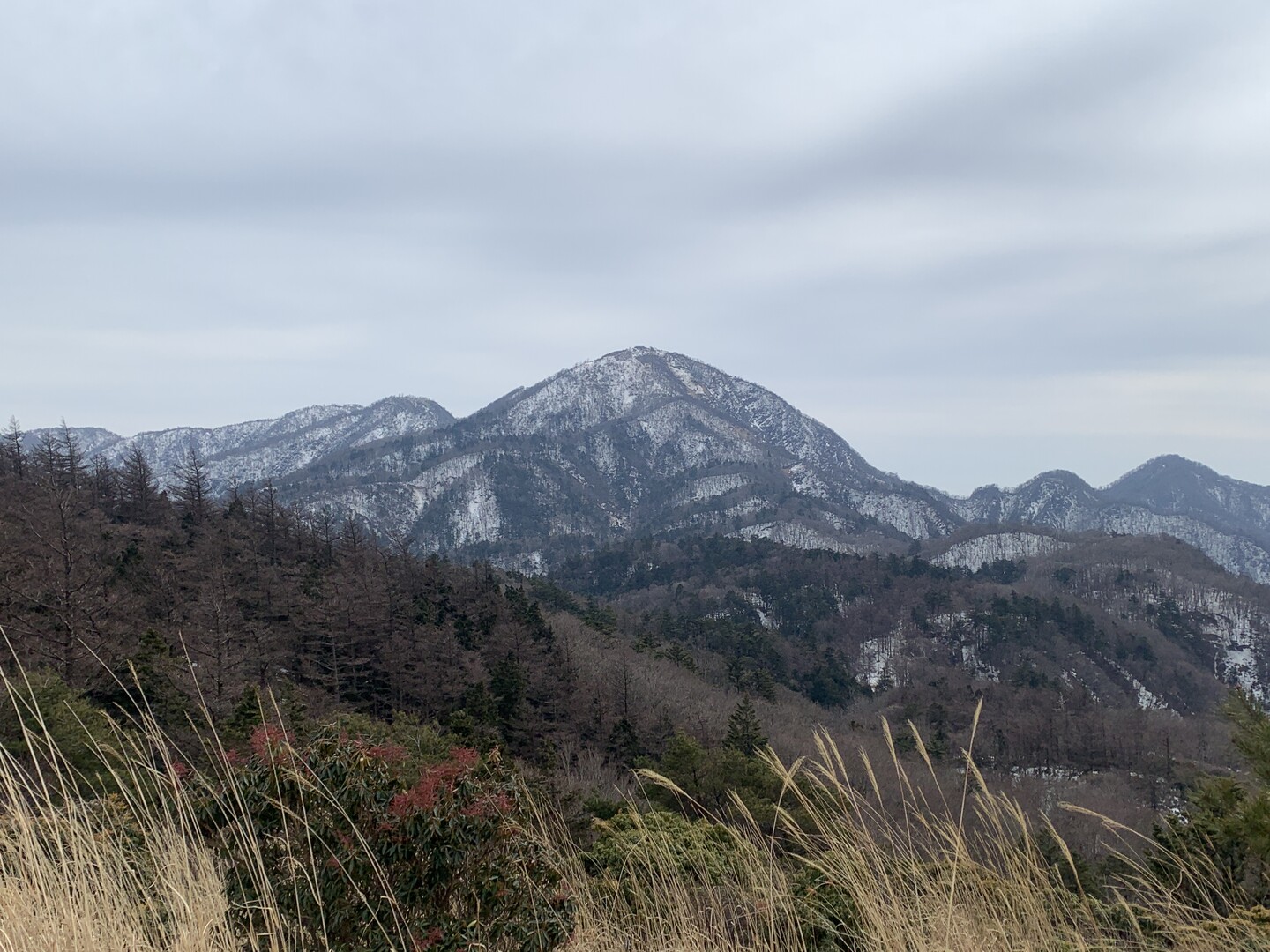姫次・蛭ヶ岳 / joeさんの丹沢山の活動データ | YAMAP / ヤマップ
