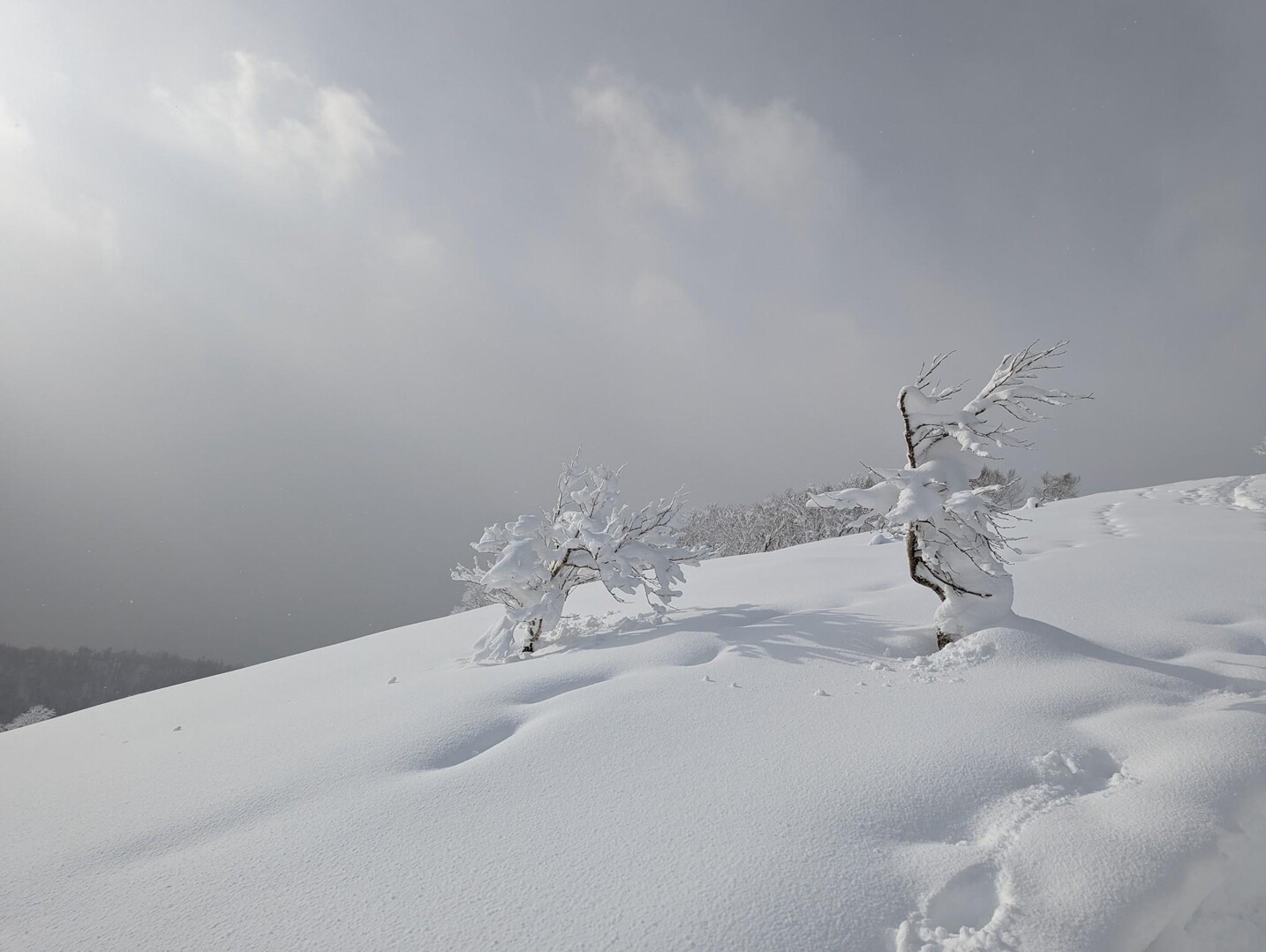 イチャンコッペ山・幌平山 / ryryryryさんのイチャンコッペ山の活動データ | YAMAP / ヤマップ