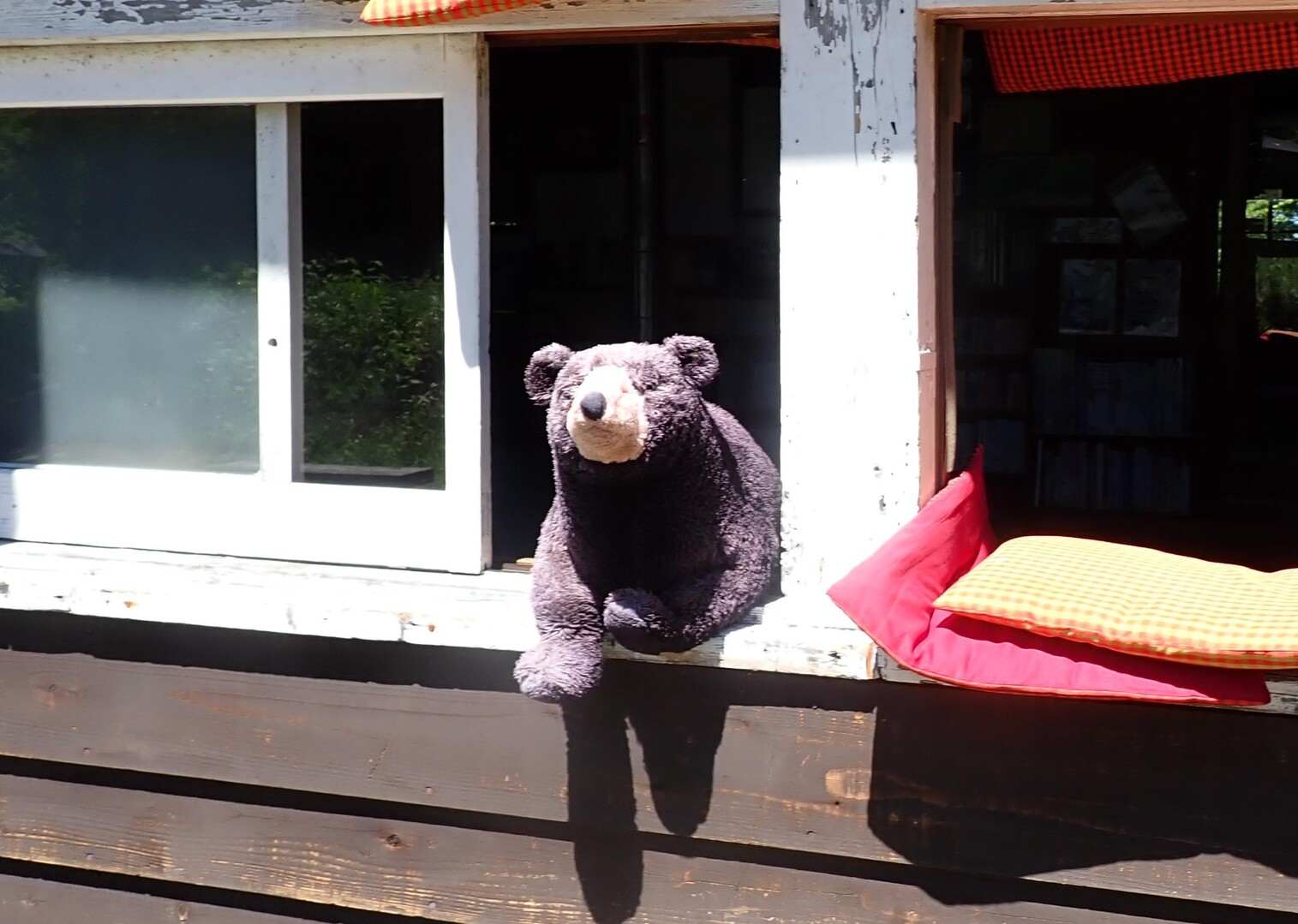 よちぼsevenのページ | YAMAP / ヤマップ