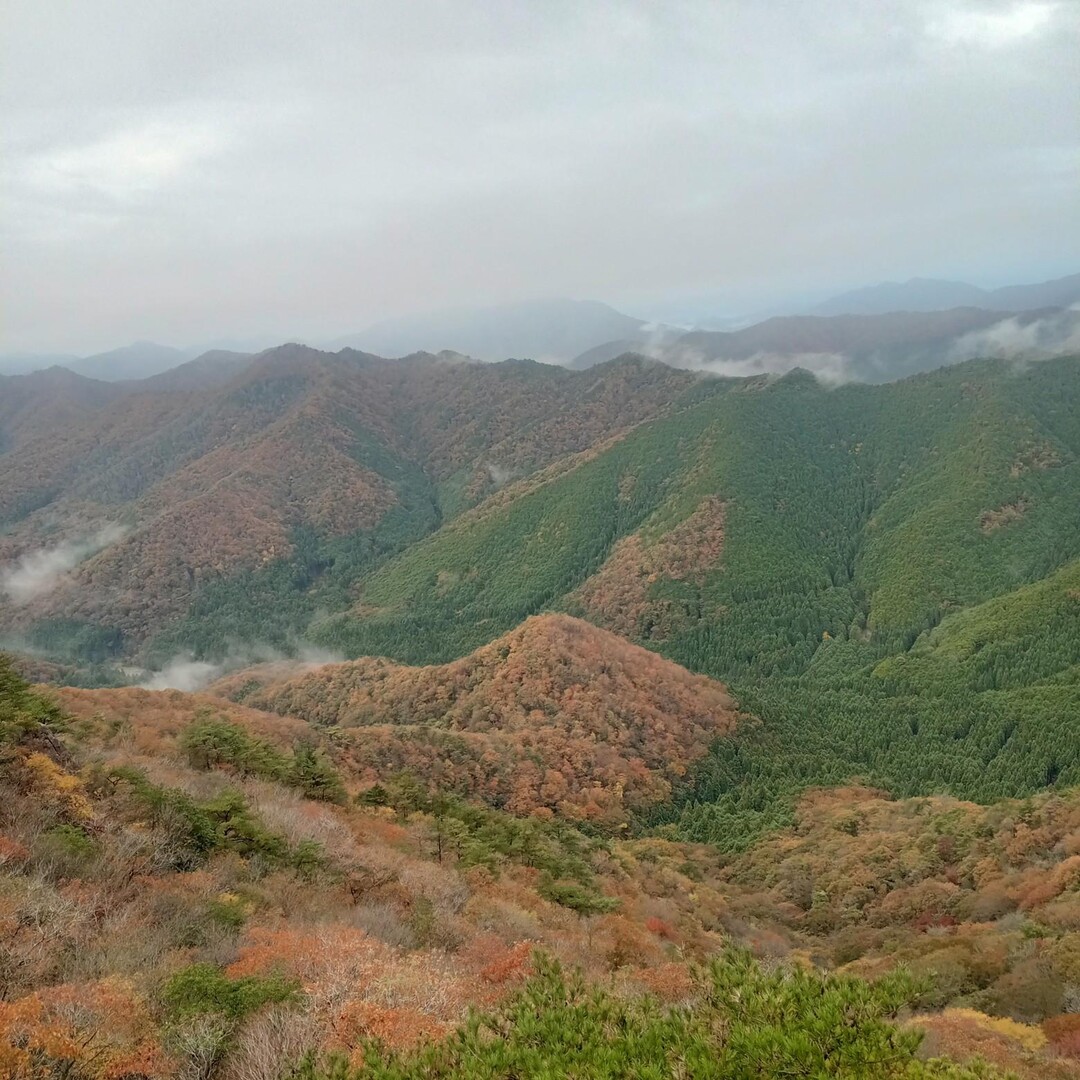 【関西百名山】白髪岳周回 / katu-canさんの白髪岳・松尾山・西寺山の活動データ | YAMAP / ヤマップ