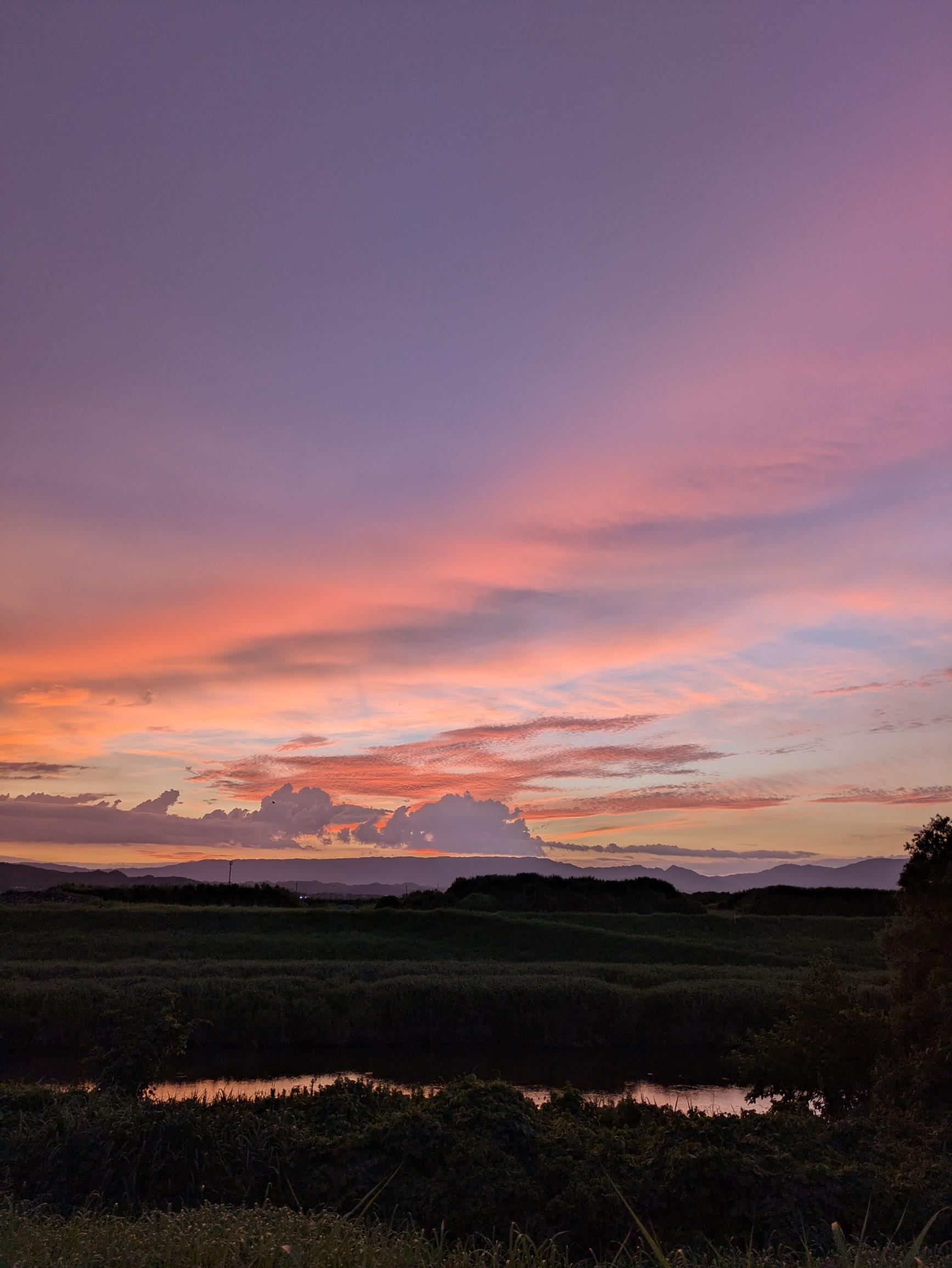 YAMAP投稿始めた時はすでにDOMOが... / とうふさんのモーメント | YAMAP / ヤマップ