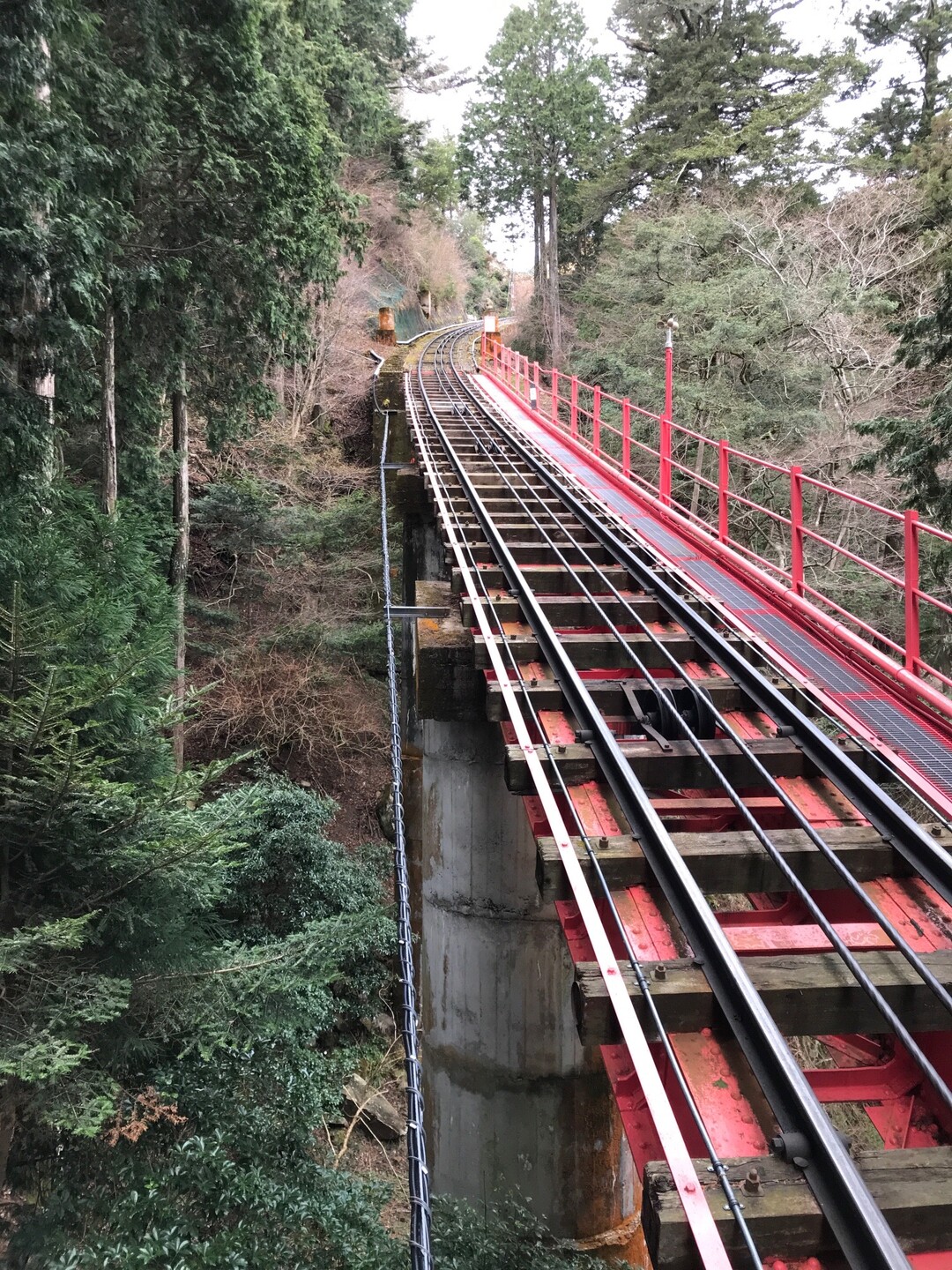 R4,3/19 無動寺谷-大比叡-本坂 / まさやんさんのハイキングの活動データ | YAMAP / ヤマップ