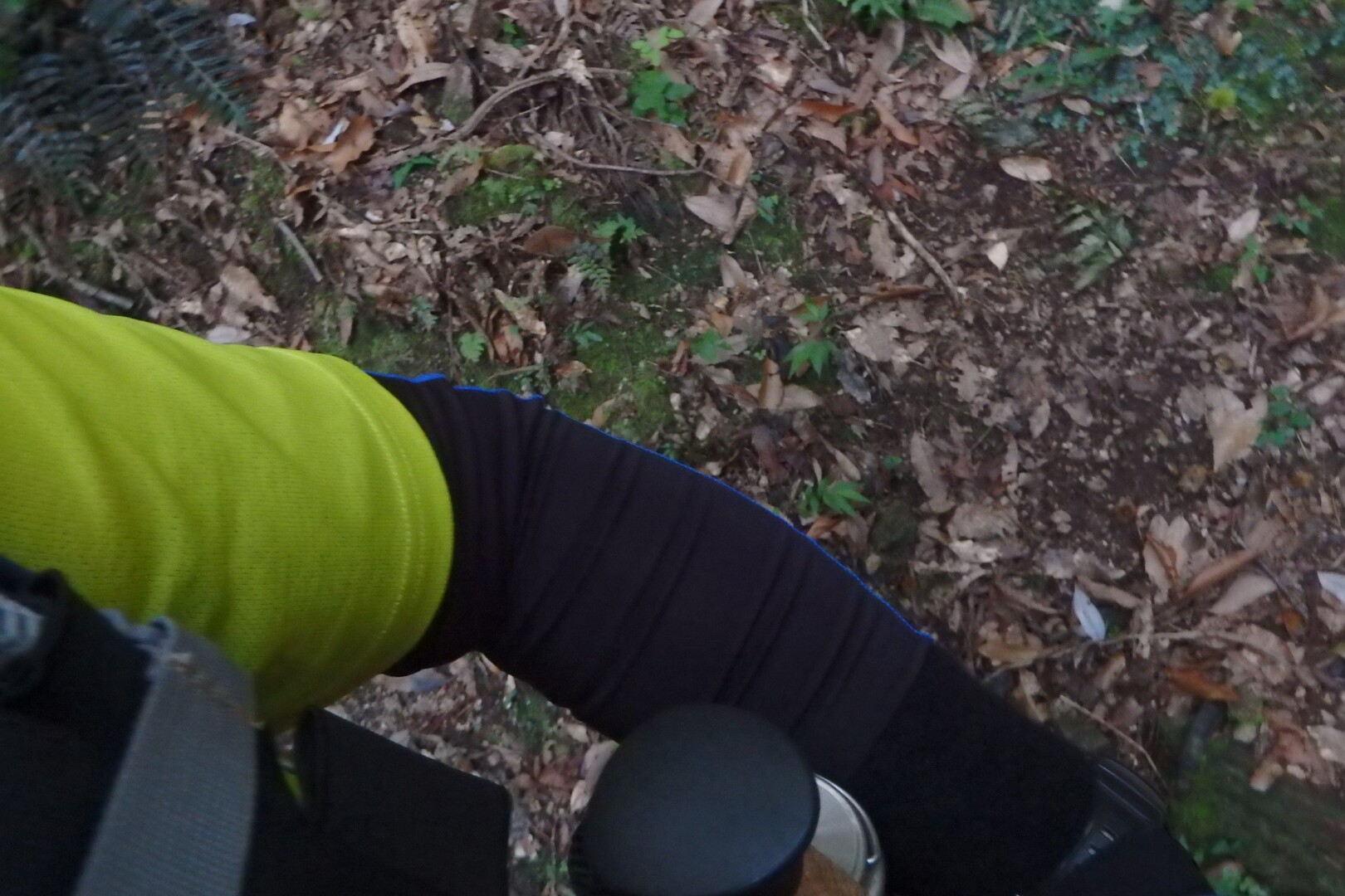 2022年8月6日 オニヤンマカラーで / ブルー49さんのモーメント | YAMAP / ヤマップ