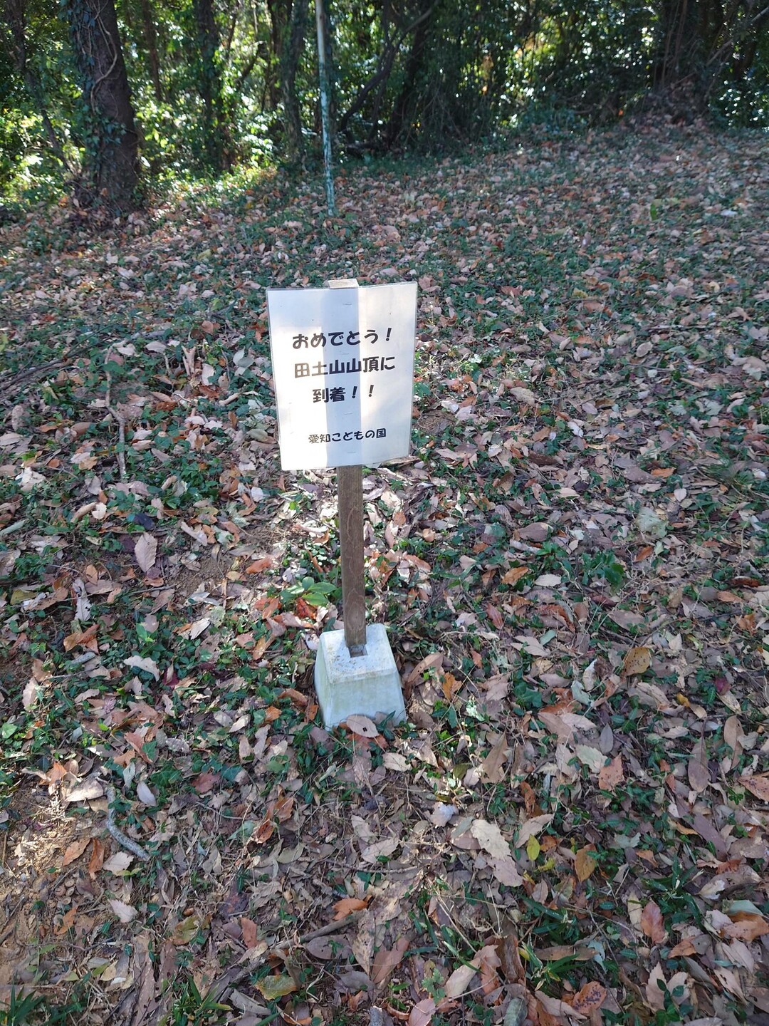 田土山 おまけ / 自遊人さんの三ヶ根山の活動データ | YAMAP / ヤマップ