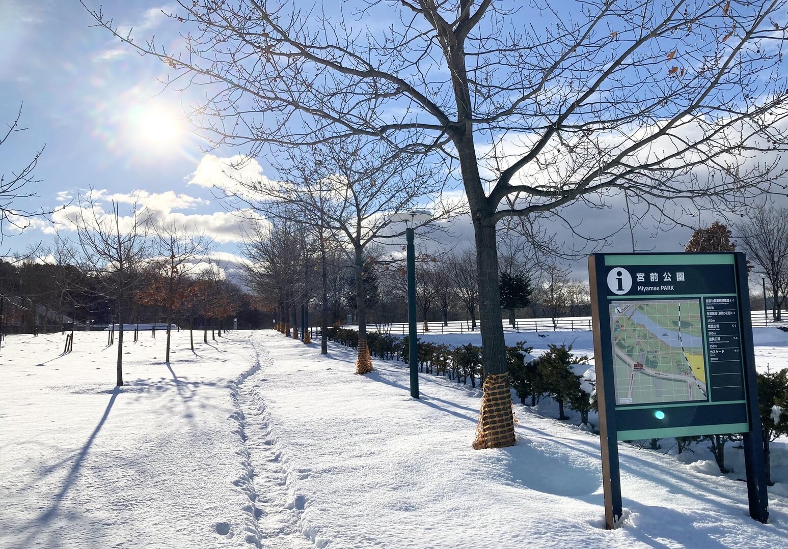 2022-12-27 お天気がよかったの... / usa-maさんのモーメント | YAMAP / ヤマップ