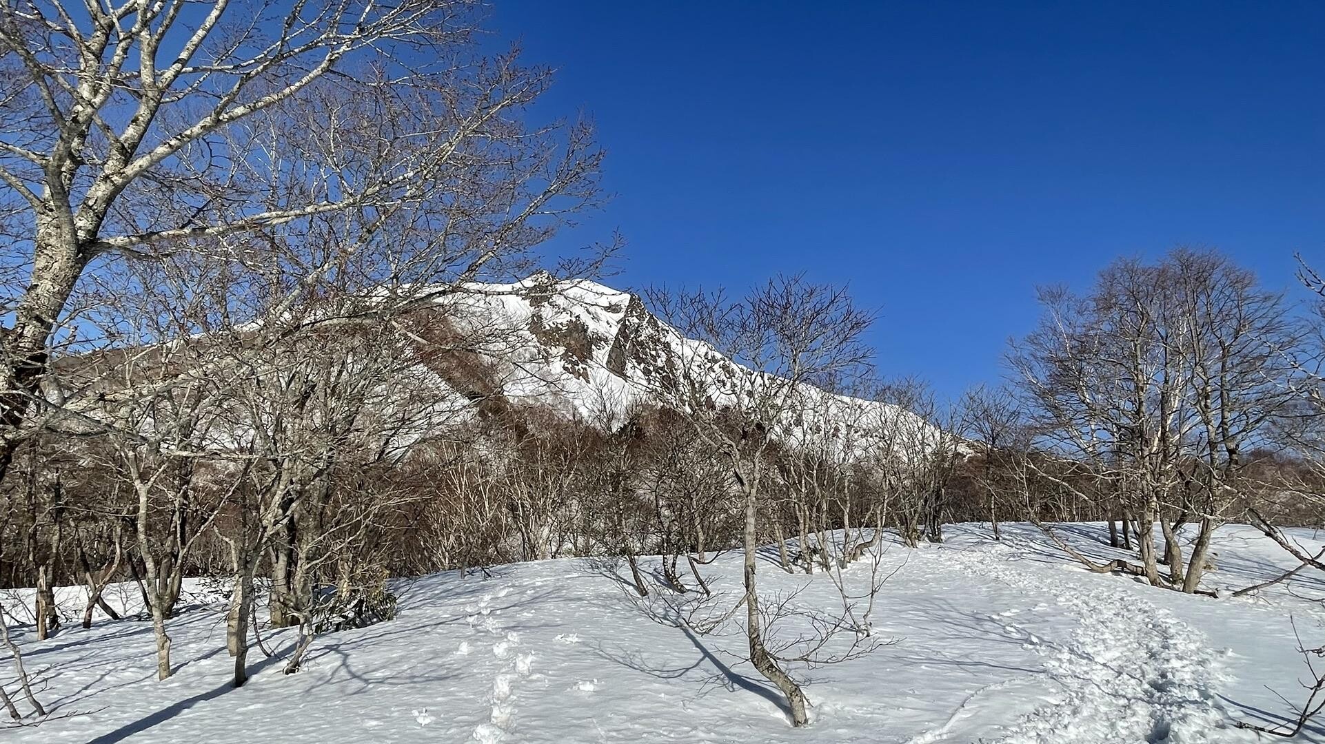 やっぱWBCか〜 快晴ザケザケ磐梯山 / きみとうちゃんさんの磐梯山・雄国山・赤埴山の活動データ | YAMAP / ヤマップ