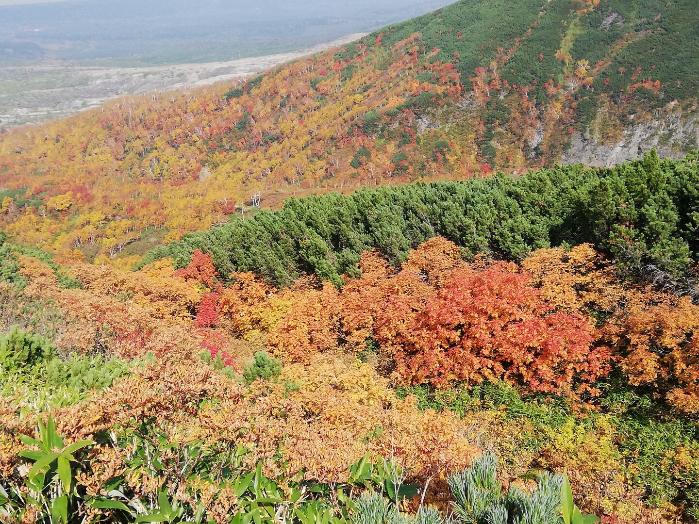 三段山、紅葉も終盤 / noriGさんの十勝岳・富良野岳・美瑛岳の活動データ | YAMAP / ヤマップ