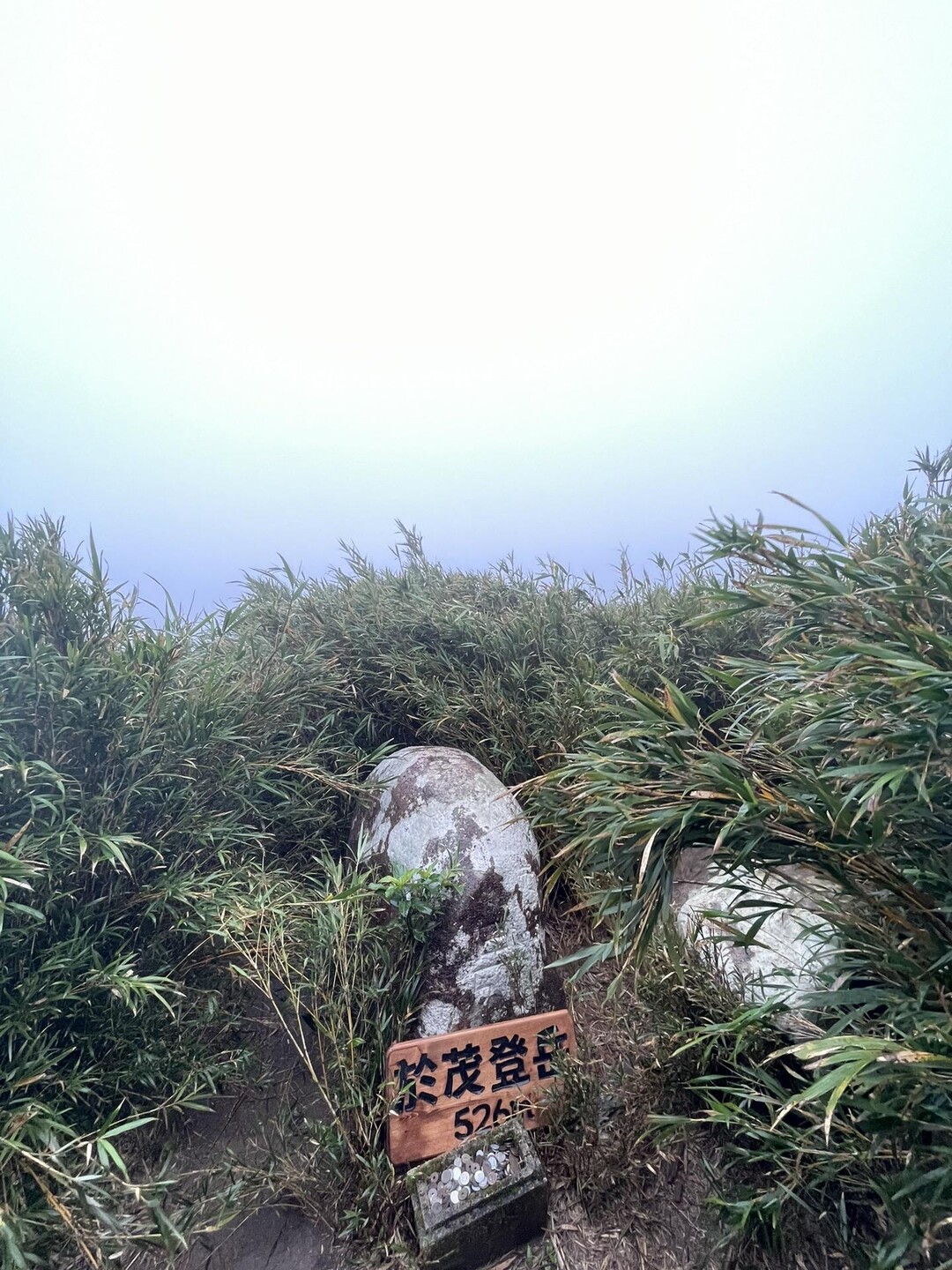 於茂登岳@八重山病の治療 〜沖縄県最高峰〜 / ryosukさんの石垣島 南部の活動データ | YAMAP / ヤマップ