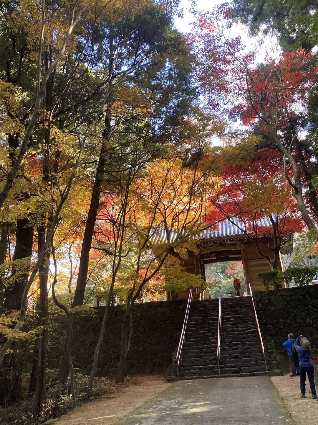 根香寺紅葉🍁+ピークあれこれ / tairaさんの四国遍路その19の活動データ | YAMAP / ヤマップ