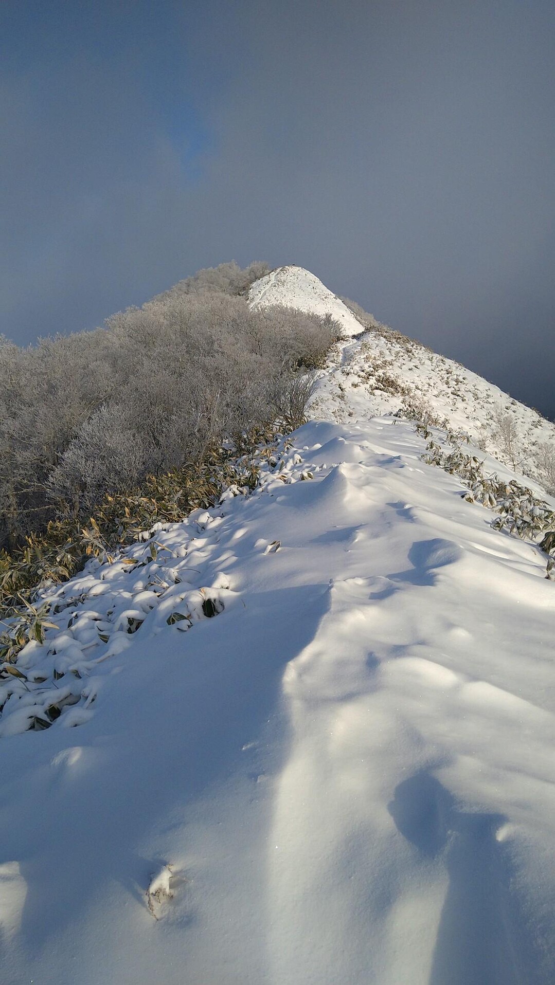 前稀府岳・稀府岳 / cocoさんの稀府岳の活動データ | YAMAP / ヤマップ