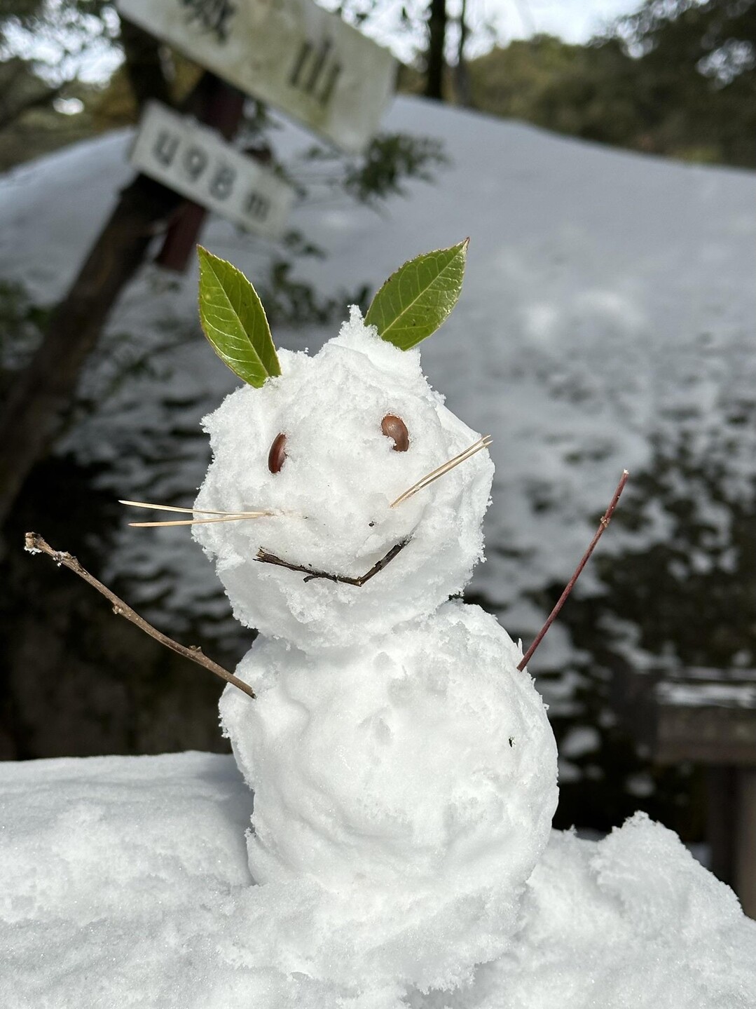 今季初！雪 ️の城山☃️ / HIDEさんの九千部山・石谷山の活動日記 | YAMAP / ヤマップ