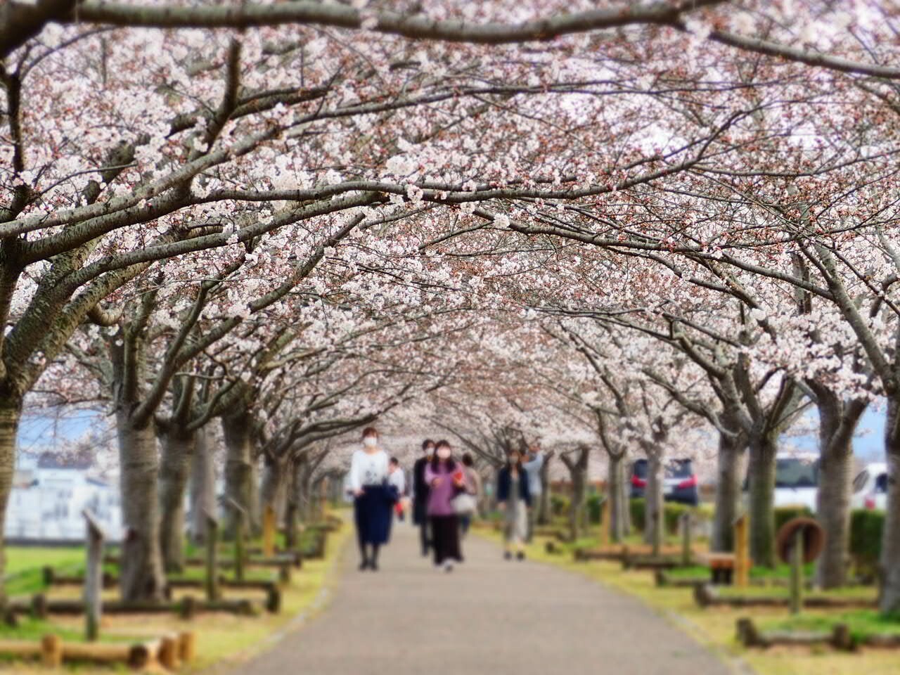 明日お休みなのに雨(-_-;) なので、... / sakura.nnさんのモーメント | YAMAP / ヤマップ