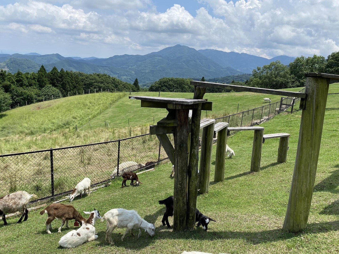 2023年5月26日と6月13日に埼玉... / rabuさんのモーメント | YAMAP / ヤマップ