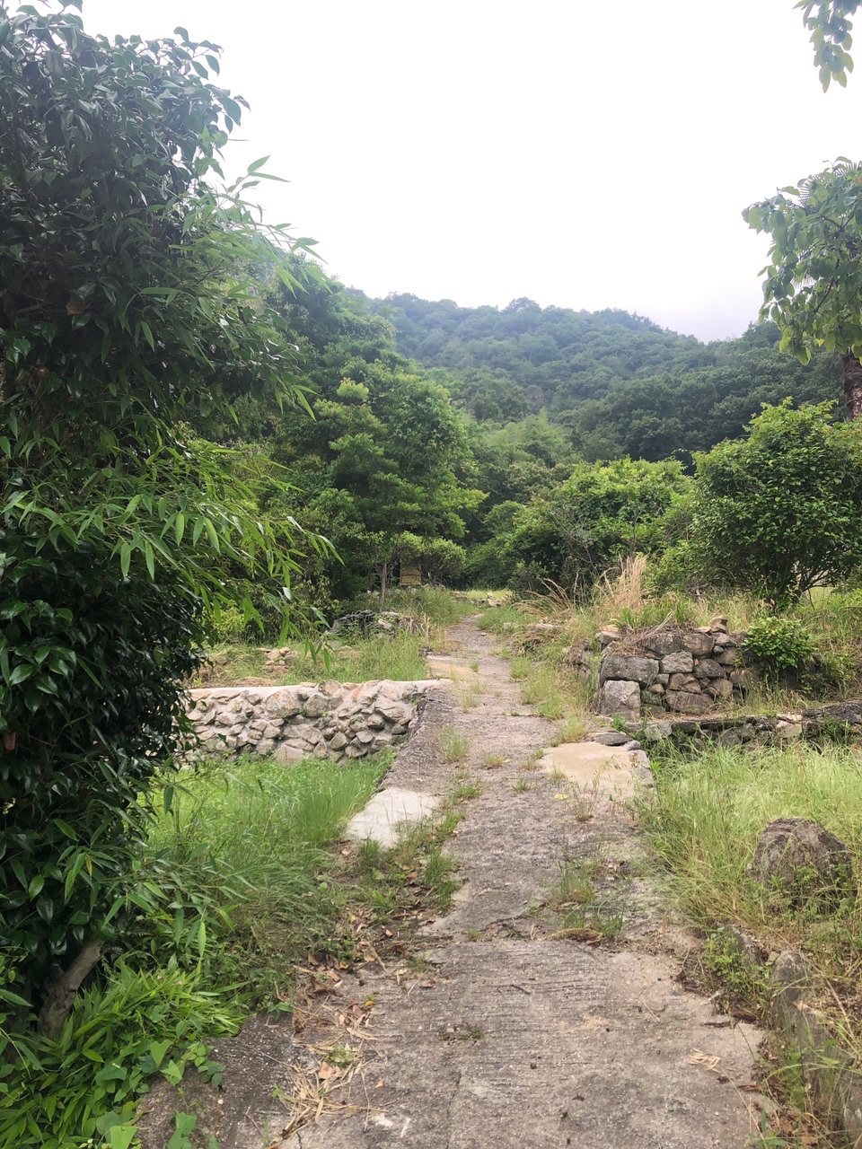 日浦山に登っておられたToshiさんを見... / PEZさんのモーメント | YAMAP / ヤマップ