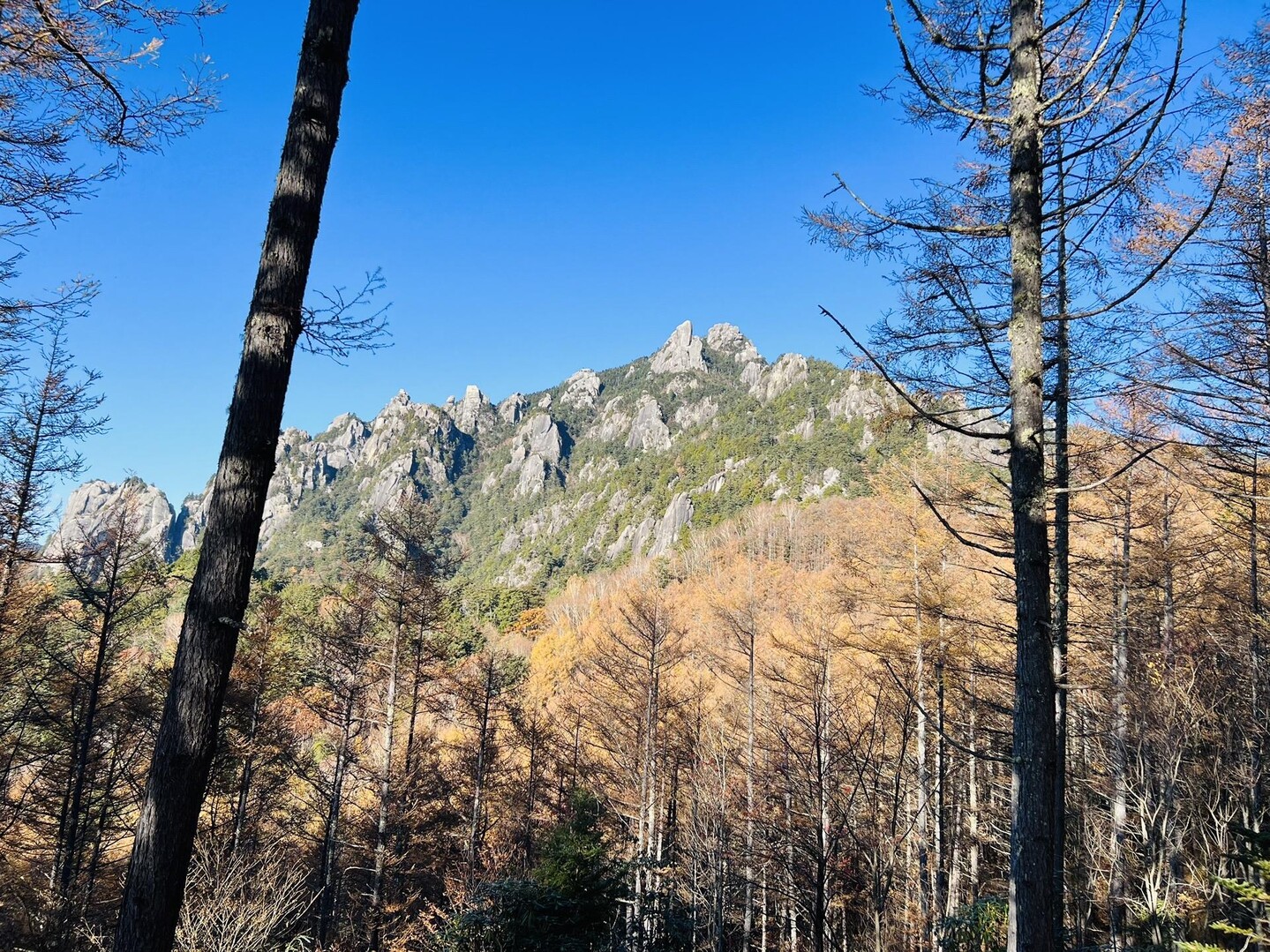 瑞牆山 / S.MAYUMIさんの瑞牆山・金峰山の活動データ | YAMAP / ヤマップ