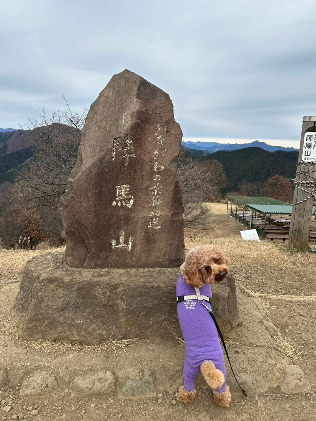 今期一番の寒さ🥶陣馬山 / ぽんずPAPAさんの高尾山・陣馬山・景信山の活動データ | YAMAP / ヤマップ