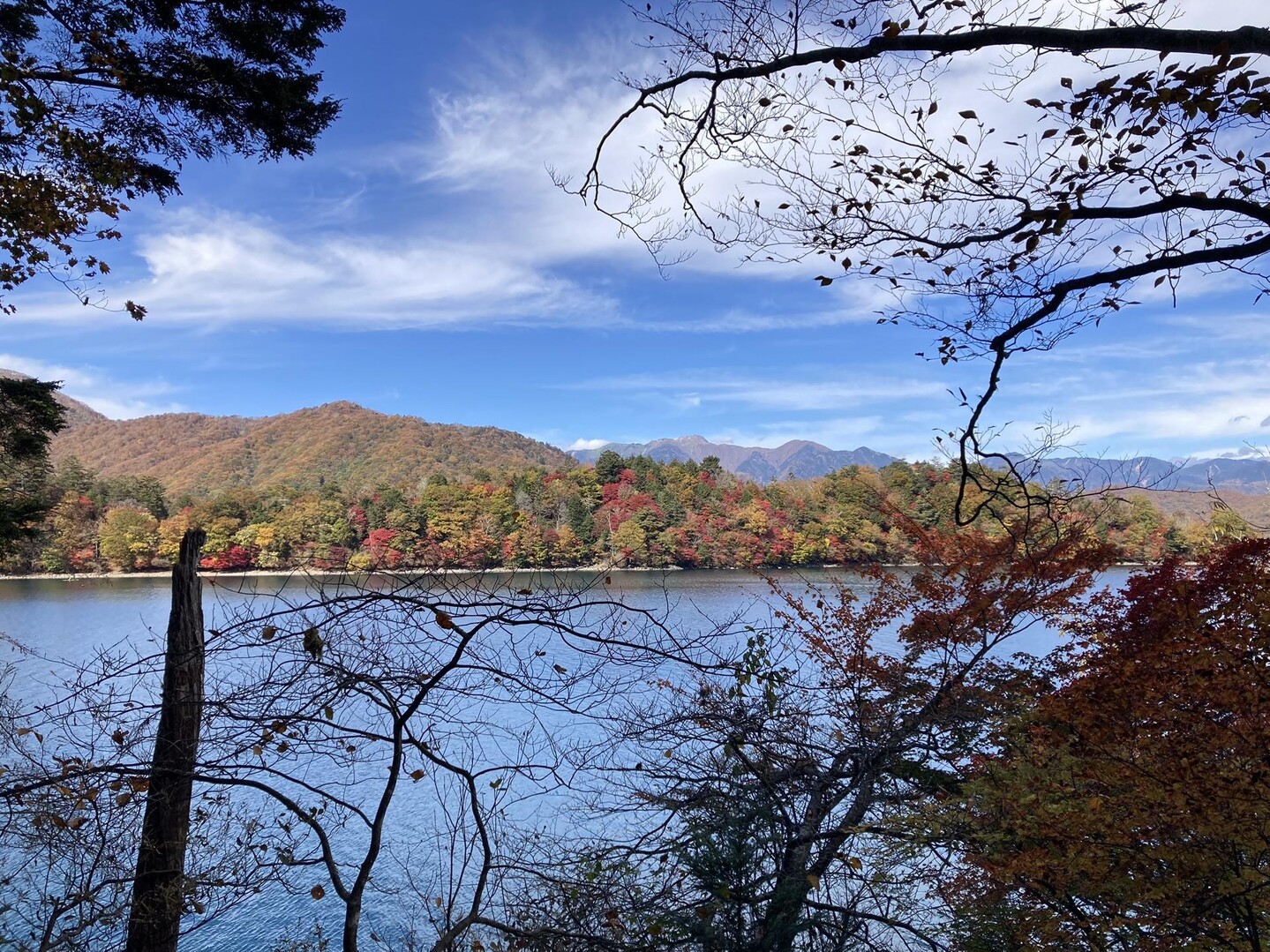 社山 / cocoaさんの社山・半月山の活動データ | YAMAP / ヤマップ