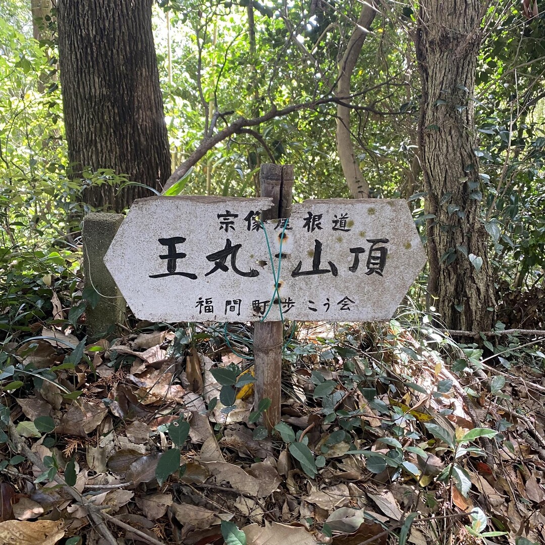 尾立山・許斐山 / tkoさんの許斐山の活動データ | YAMAP / ヤマップ